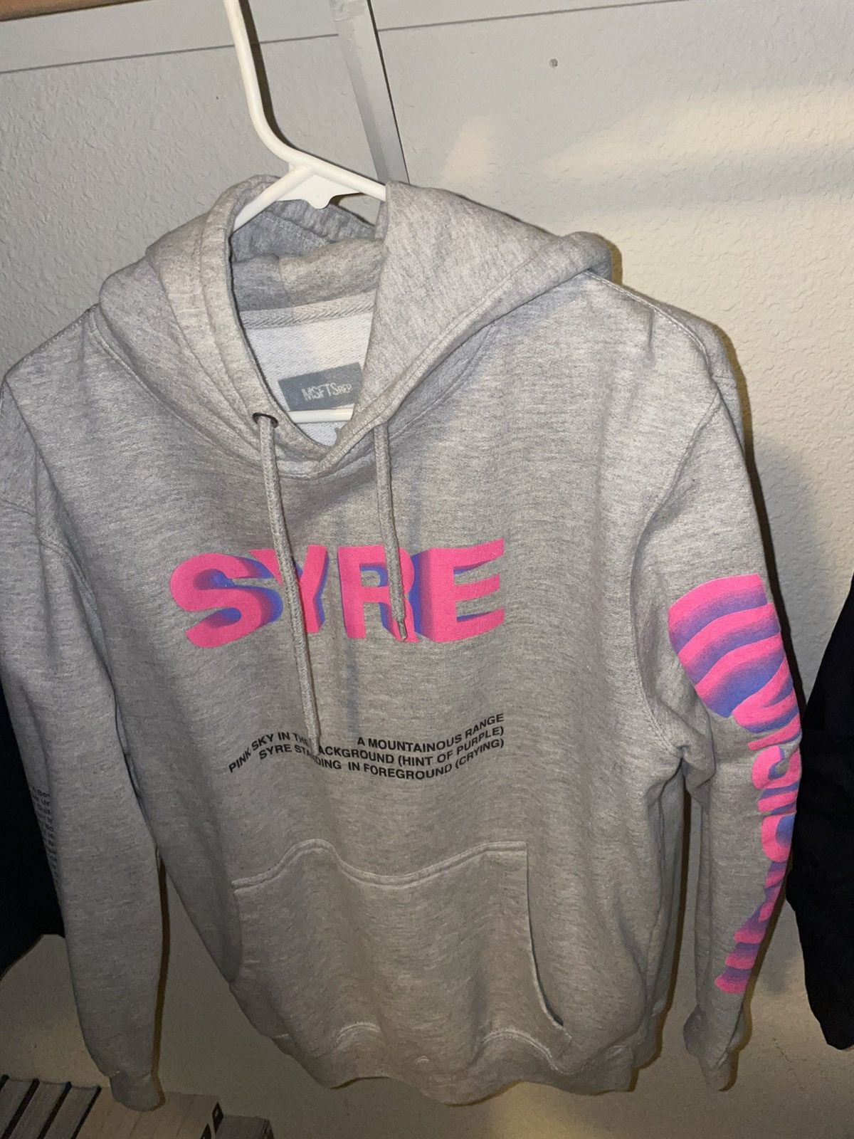 Jaden Smith × Msftsrep Jaden Smith X Msftsrep “syre” Tour Hoodie Grailed