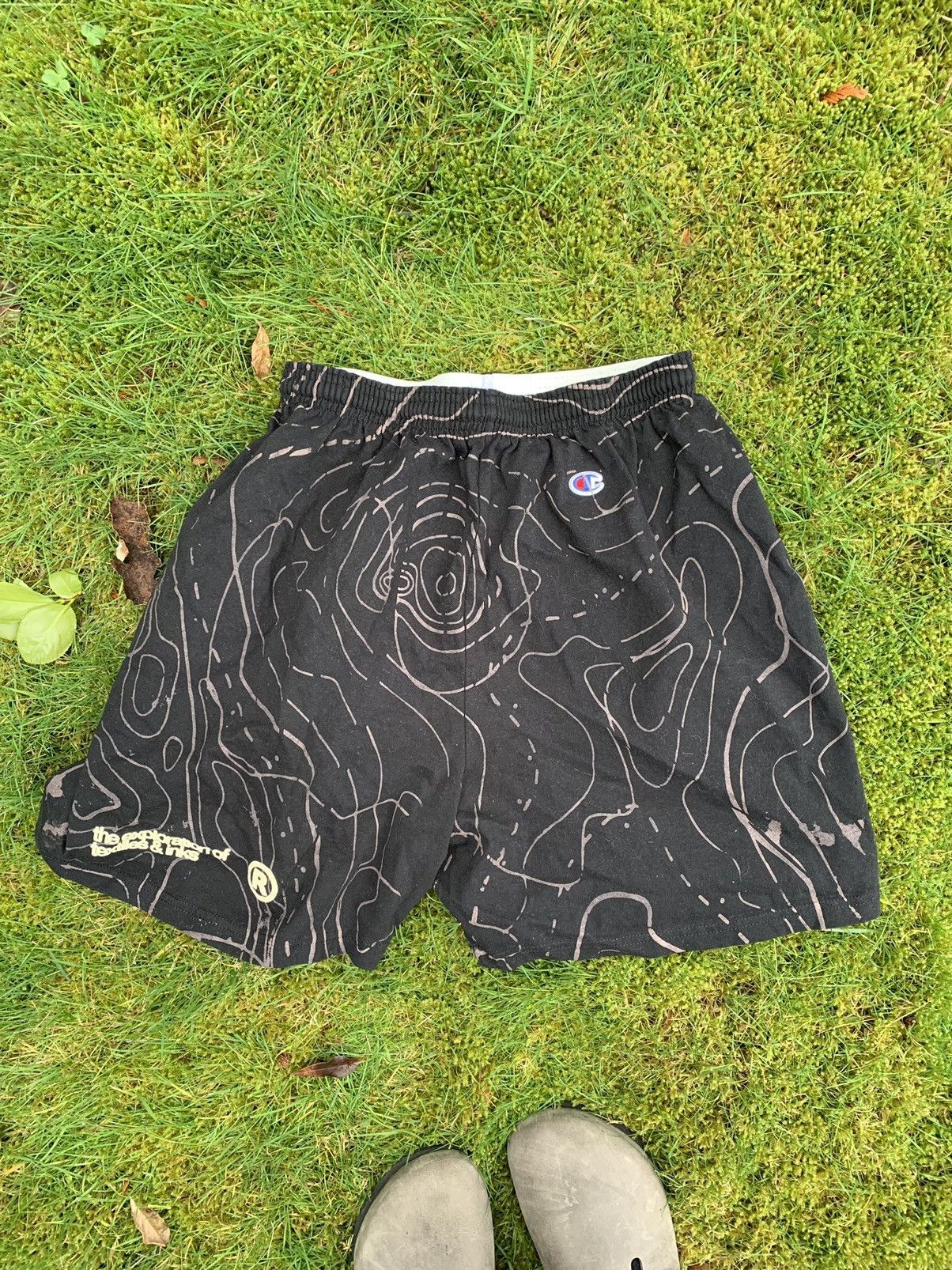 Made In Usa At The Moment USA Shorts — Champion puff print | Grailed