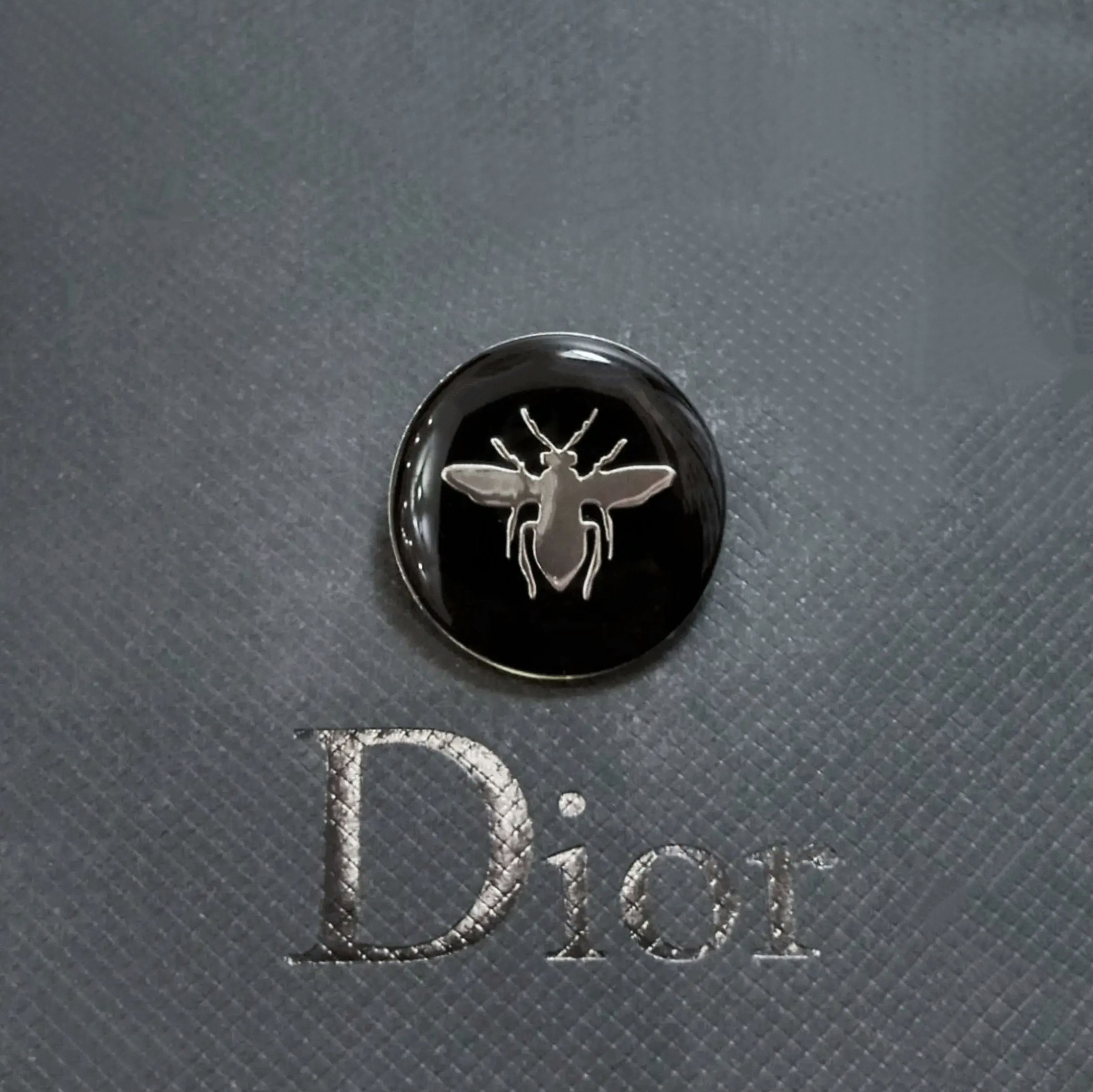 Dior NEW Dior Homme Bee Pin Badge | Grailed