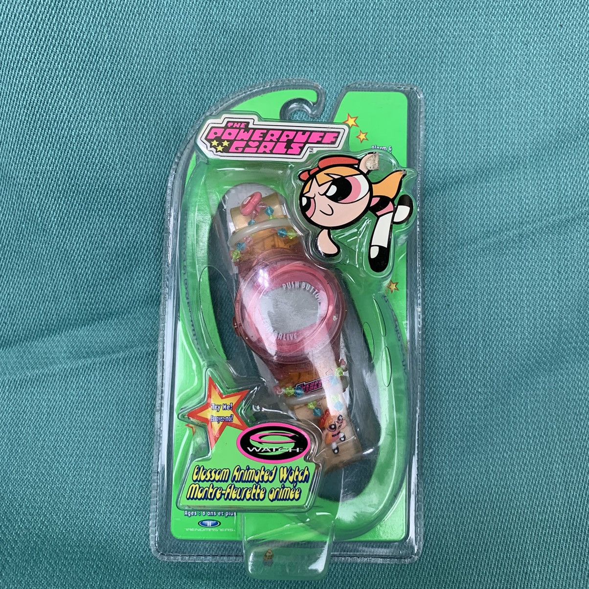 Cartoon Network × Vintage Powerpuff Girls Blossom Trendmasters Animated ...