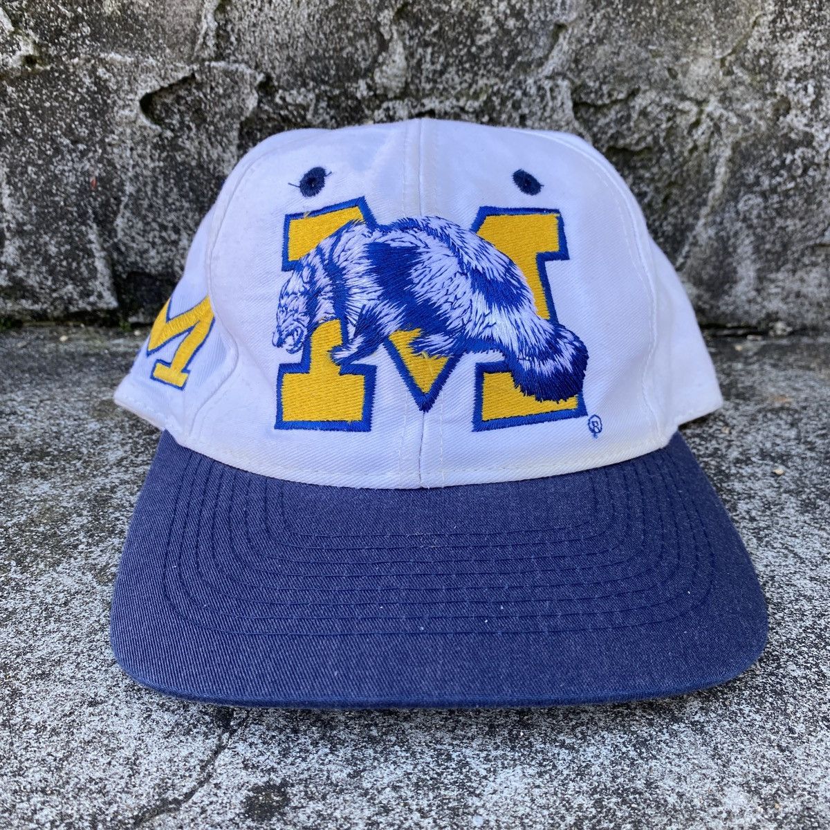American College × Vintage University of Michigan Wolverines Vintage ...