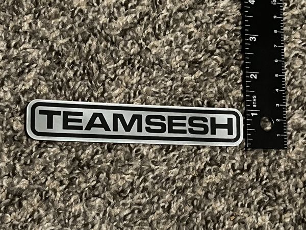 Team Sesh TeamSesh logo sticker | Grailed