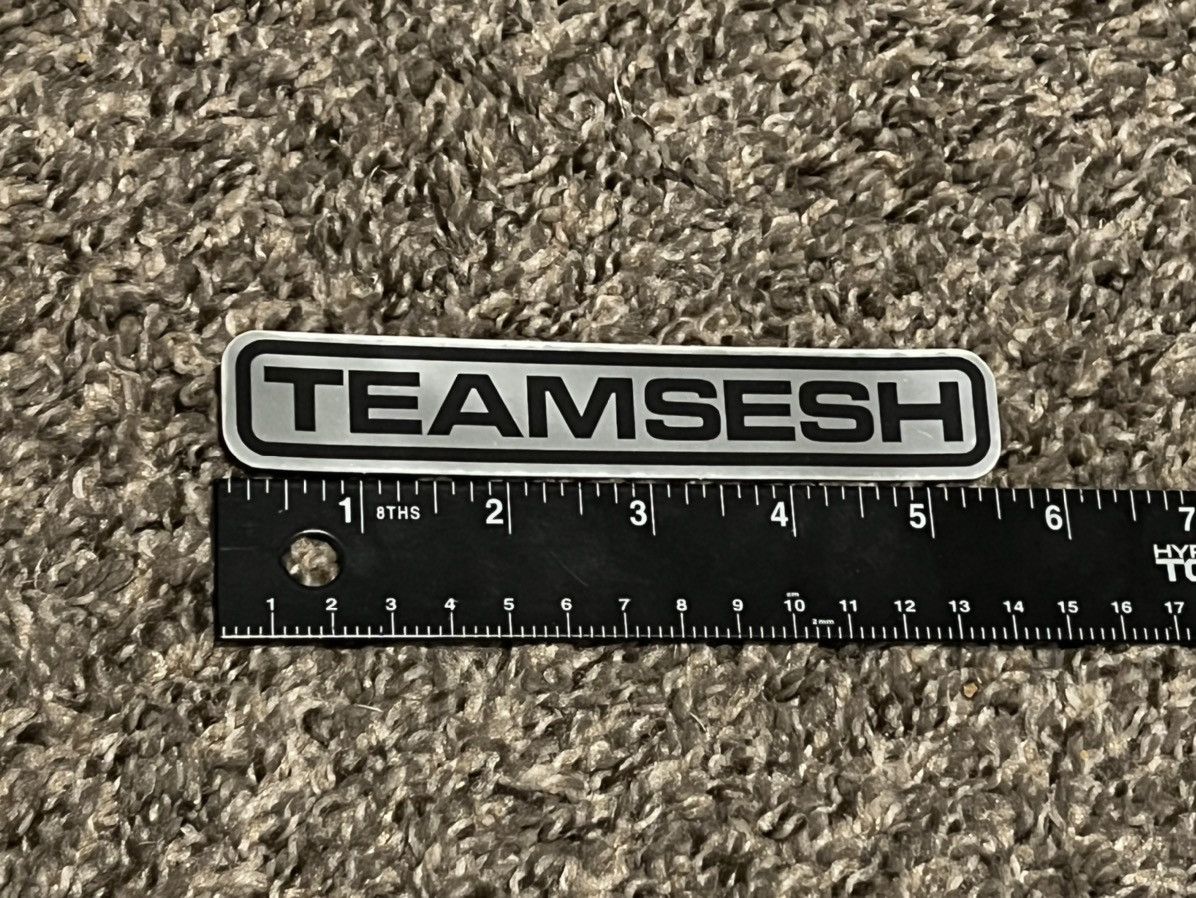 Bones × Team Sesh × Teamsesh TeamSesh logo sticker | Grailed