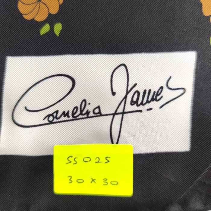 Other Cornelia James Silk Scarf | Grailed