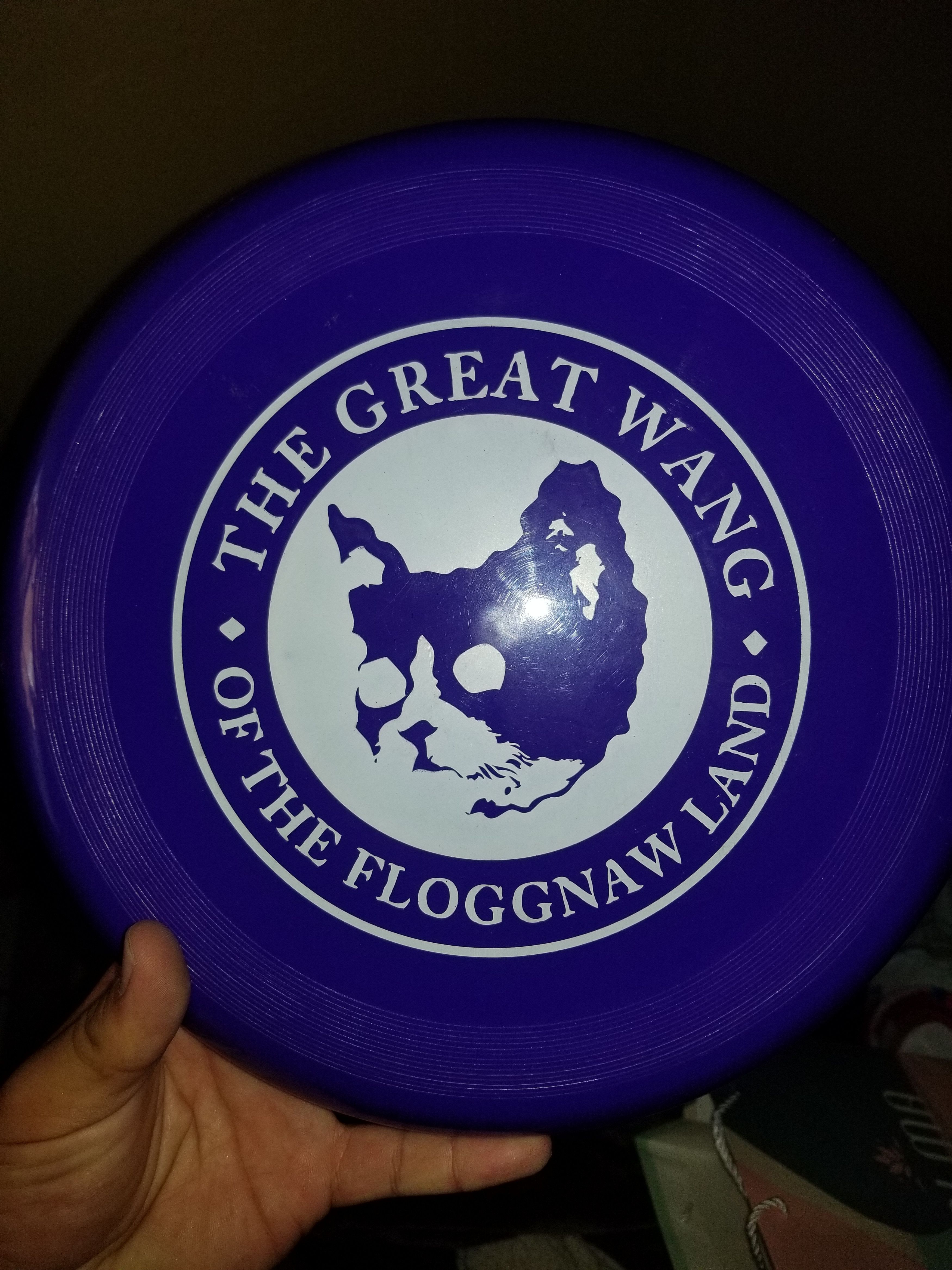 Golf Wang Golf wang cat seal Frisbee | Grailed