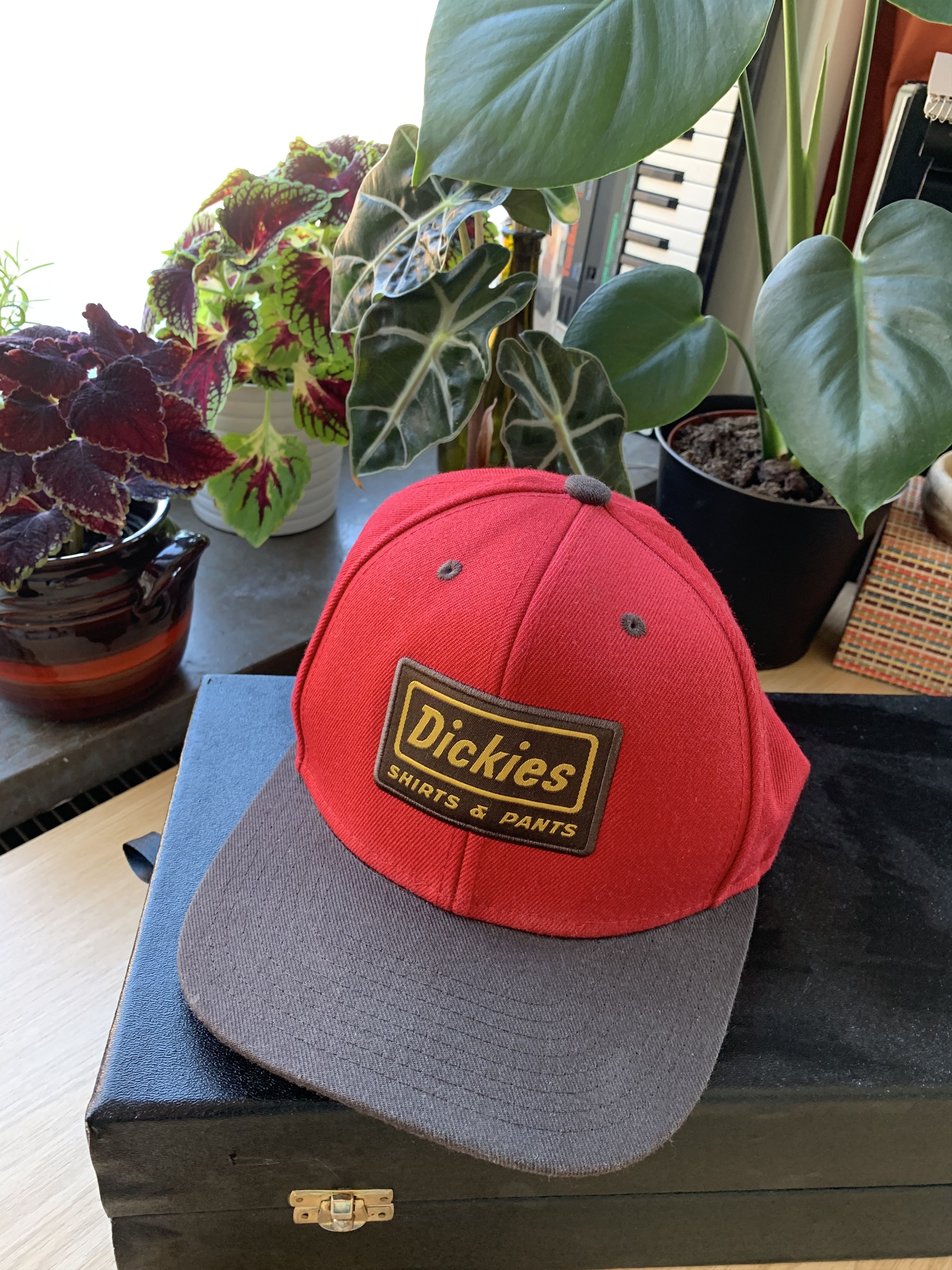 Dickies × Starter Dickies Snapback Cap X Starter Jamestown Red Black ...