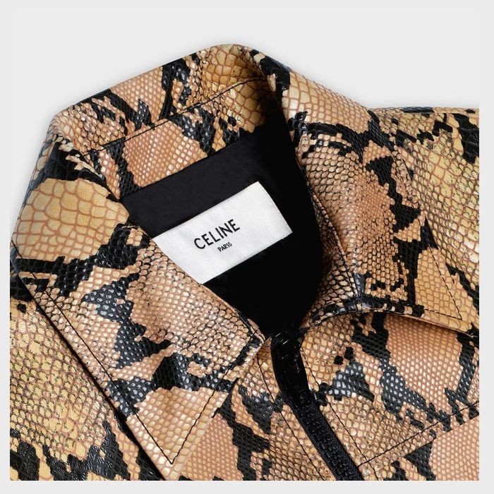 Celine Python Printed Calfskin Blouson | Grailed