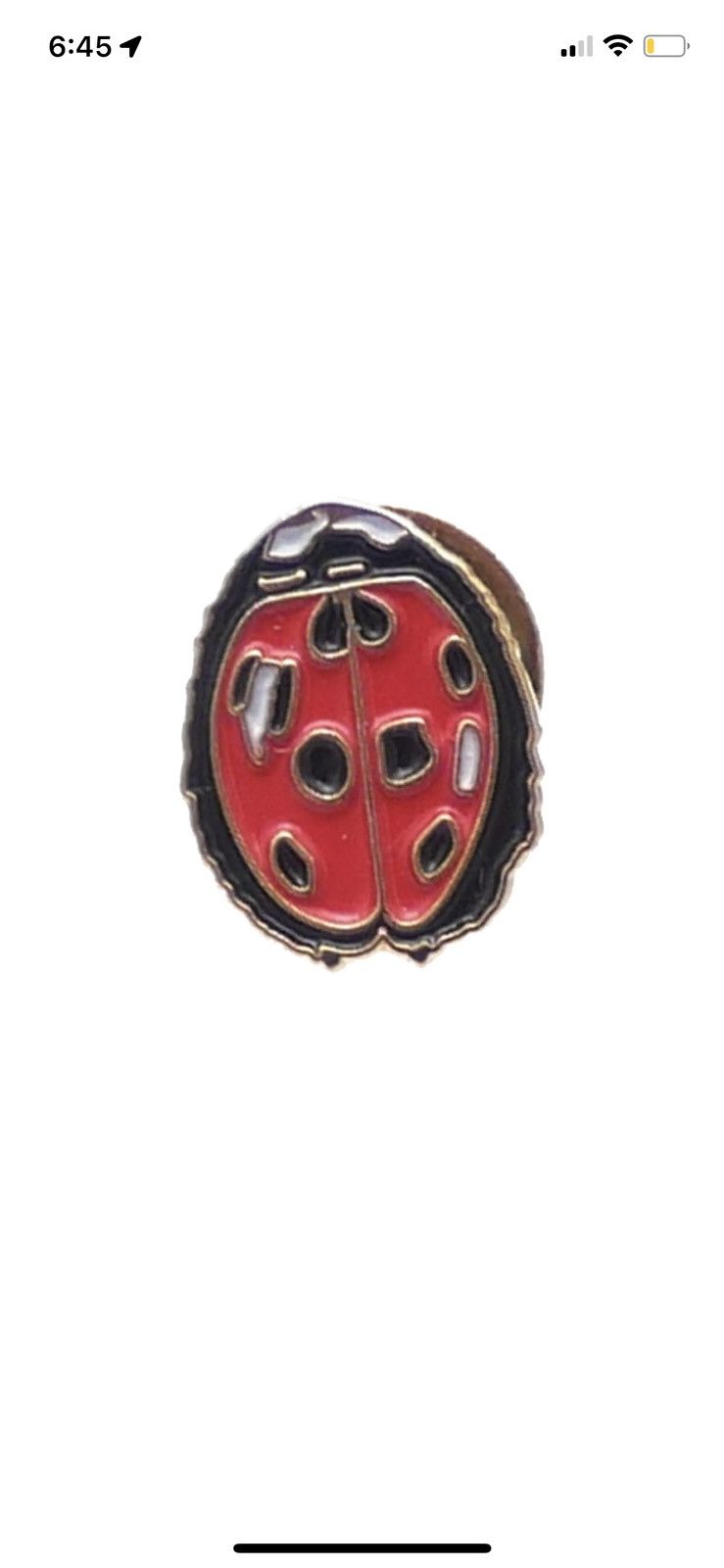 Supreme Supreme Ladybug Pin | Grailed
