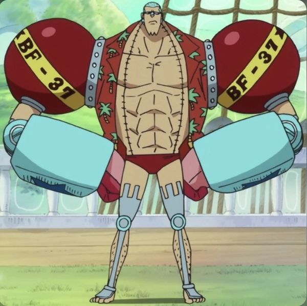 One Piece 🔥ONE PIECE X CYBORG FRANKY FULL BODY COLLECTION ITEM | Grailed