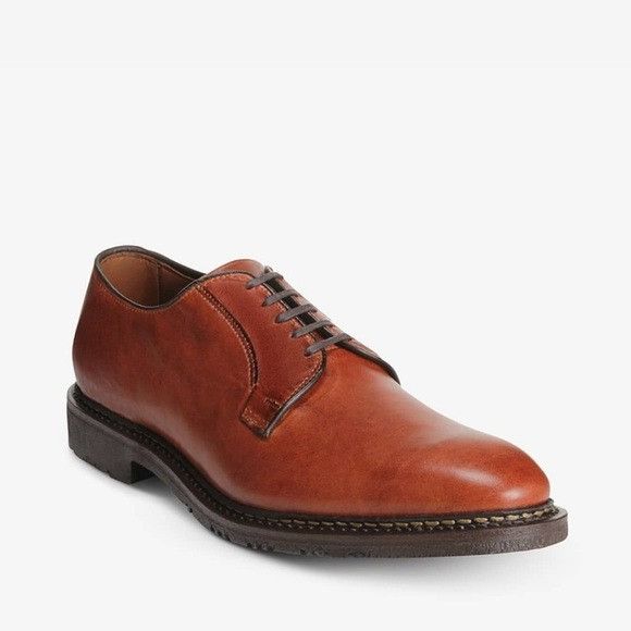 Allen Edmonds Allen Edmonds Badlands Leather Comfort Shoes | Grailed