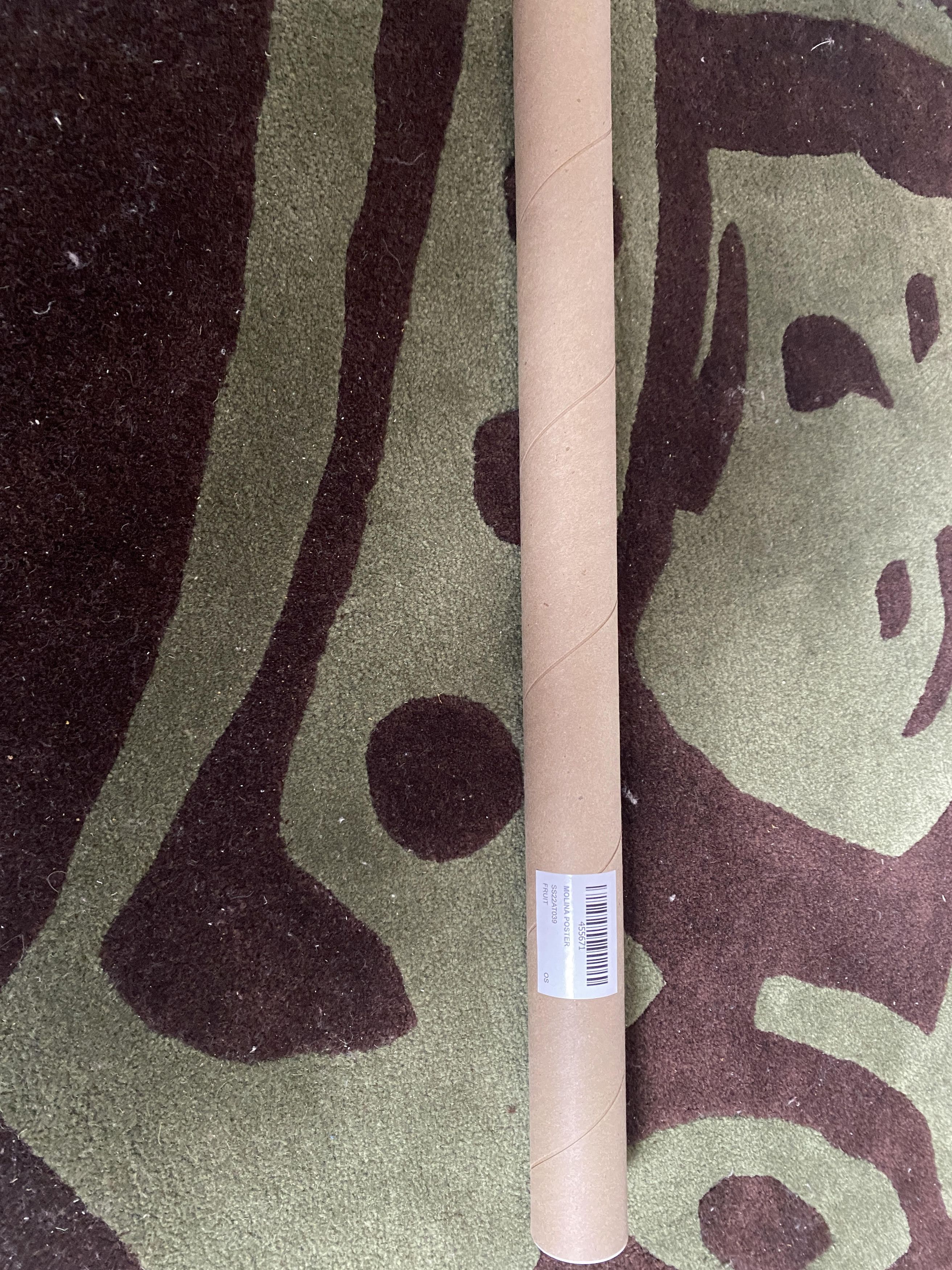 Aime Leon Dore Molina Graphic Poster - fruit | Grailed