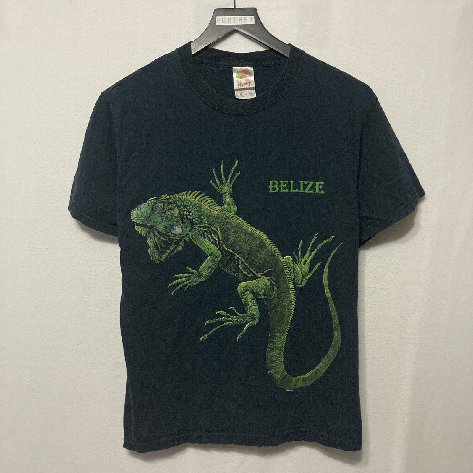 Fruit Of The Loom × Vintage VTG Iguana Nature Big Graphic Double Sided ...