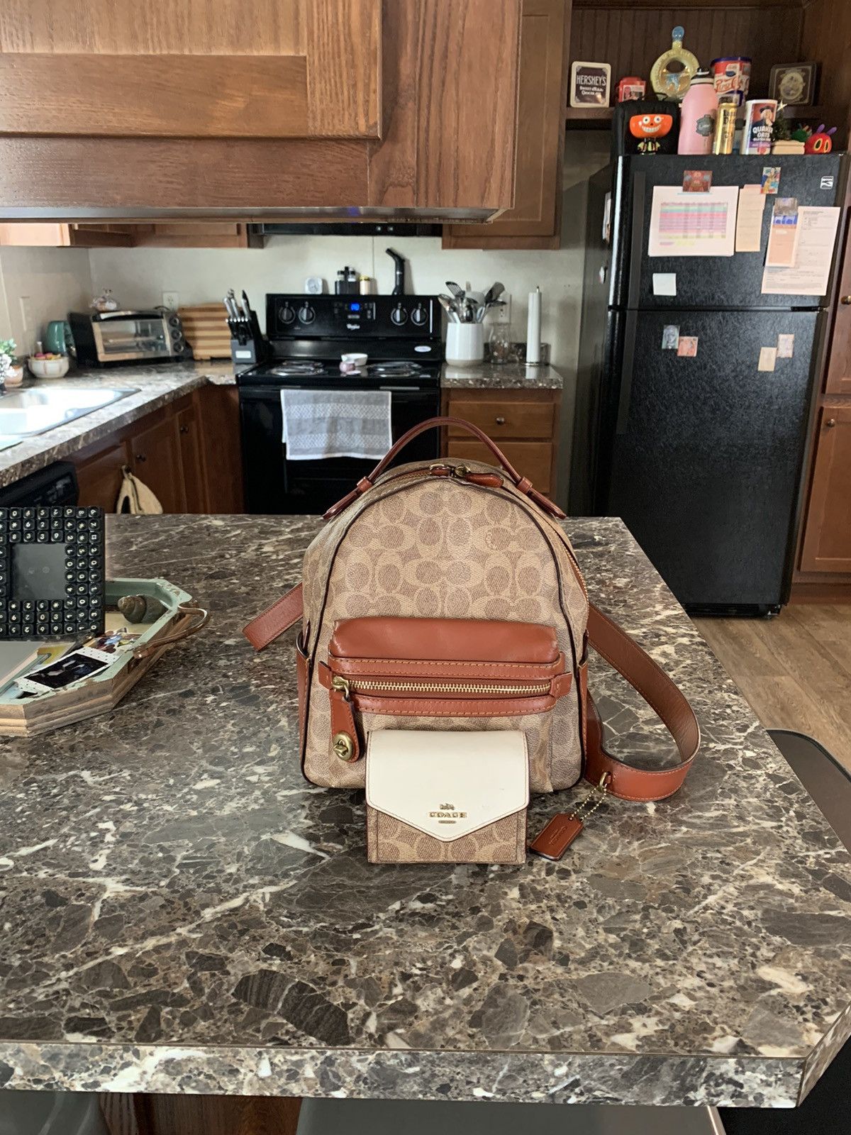 Coach Limited Edition Coach Mini Bookbag | Grailed