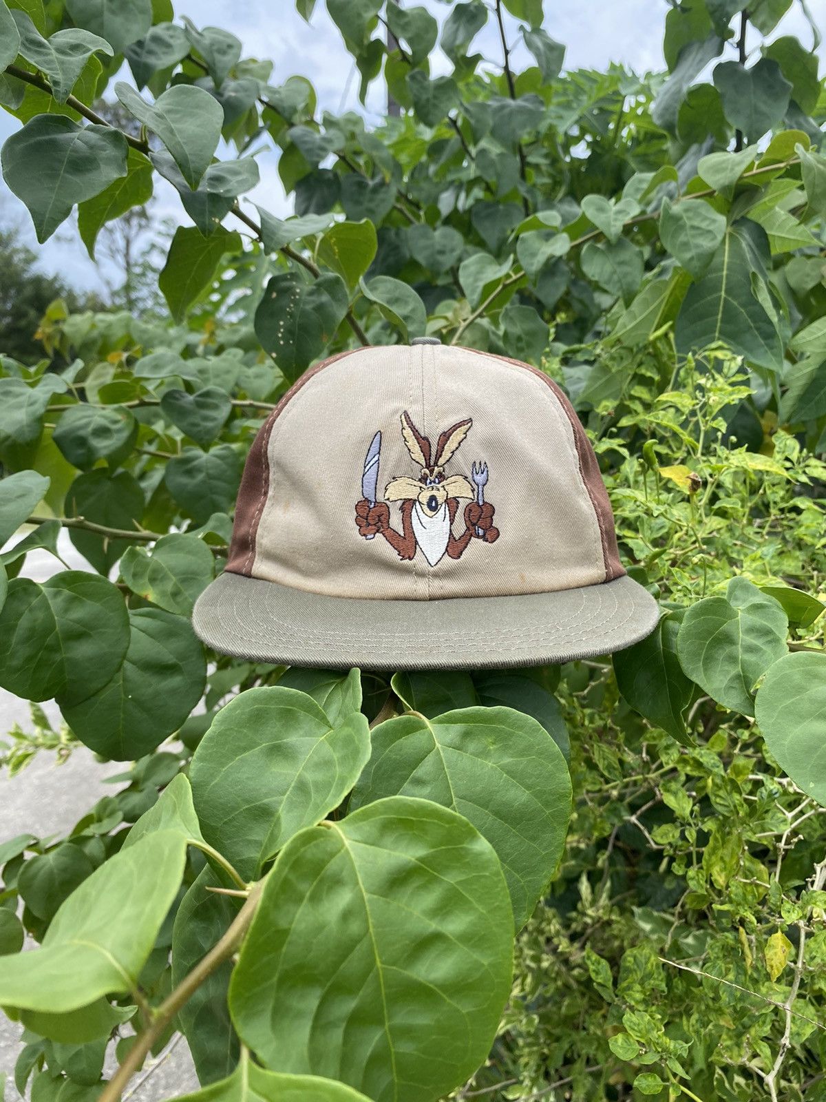 Snap Back × Vintage × Warner Bros WB Looney Tunes Characters "Wile E ...