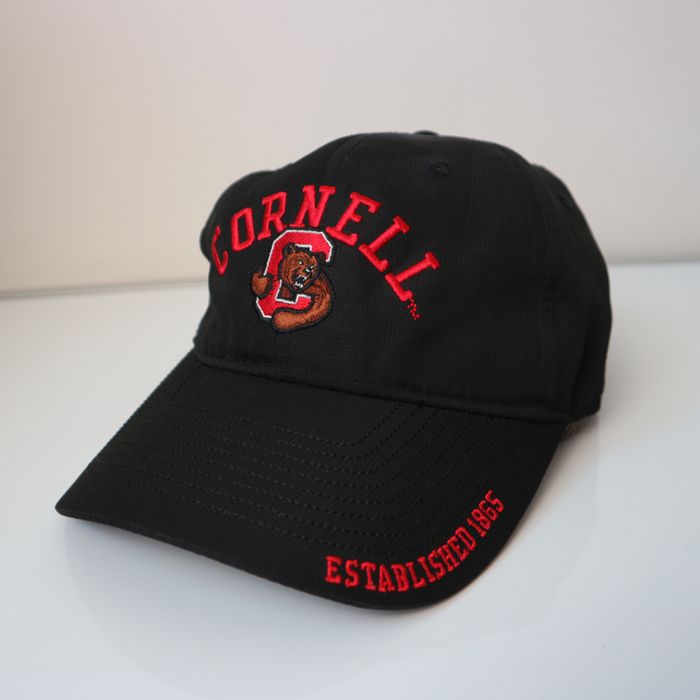 Vintage Vintage Champion Cornell Hat | Grailed