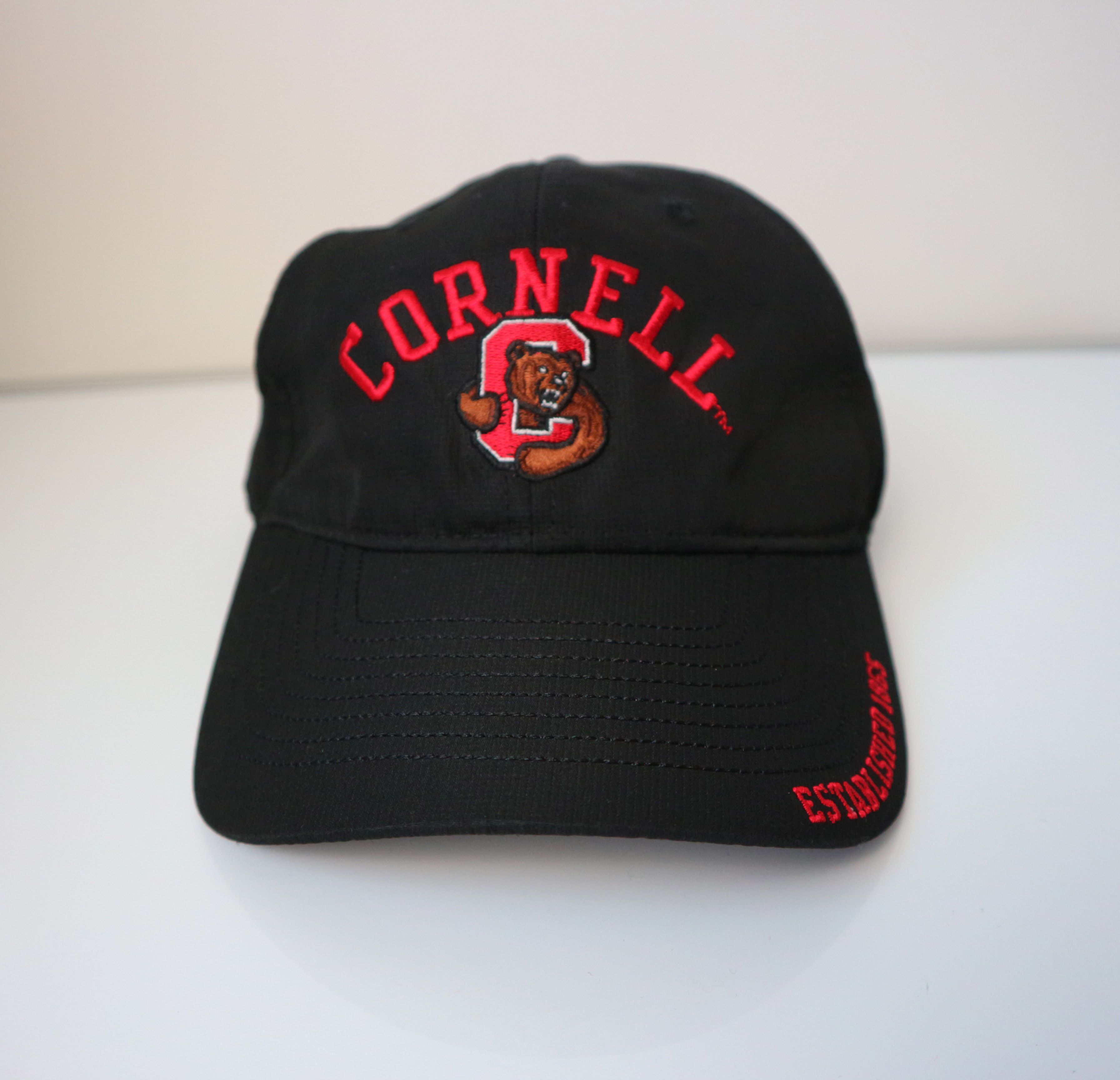 Archival Clothing × Champion × Vintage Vintage Champion Cornell Hat ...