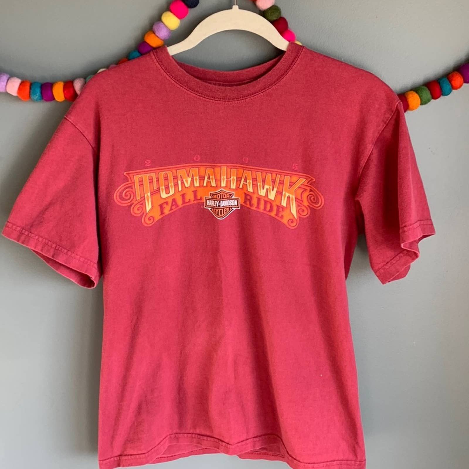 Harley Davidson Harley Davidson 2005 Tomahawk Ride T | Grailed