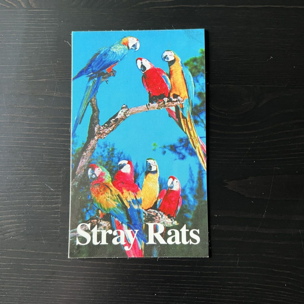 Stickers × Stray Rats Stray Rats Parrot Sticker | Grailed