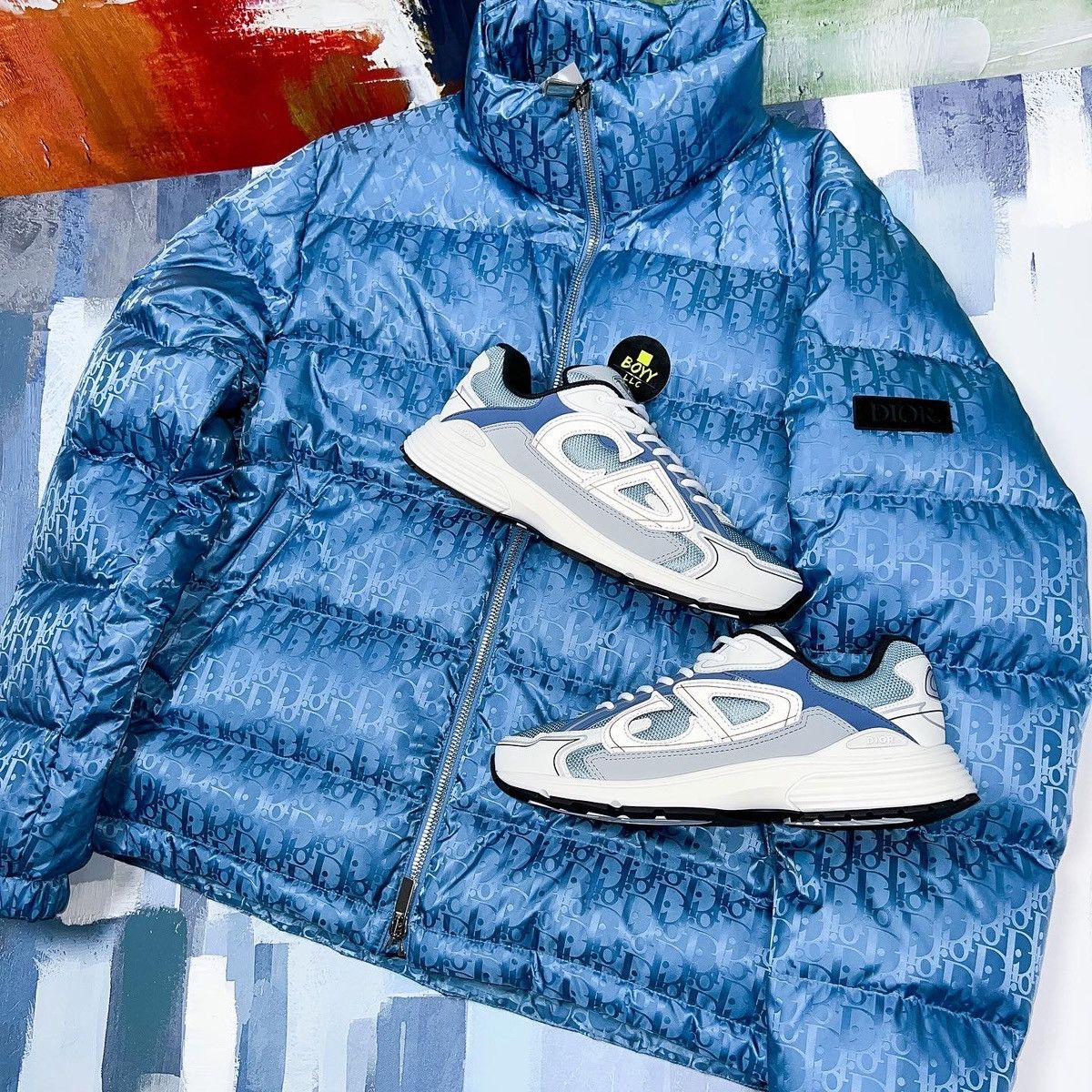 Dior Dior oblique down jacket | Grailed