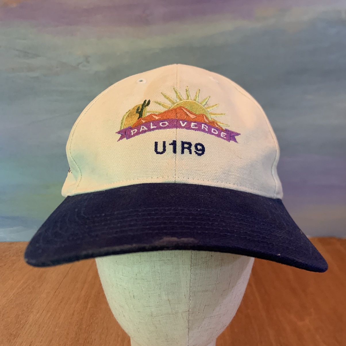 Vintage 2001 Vintage Hat Palo Verde Nuclear Power Plant Safety Cap ...