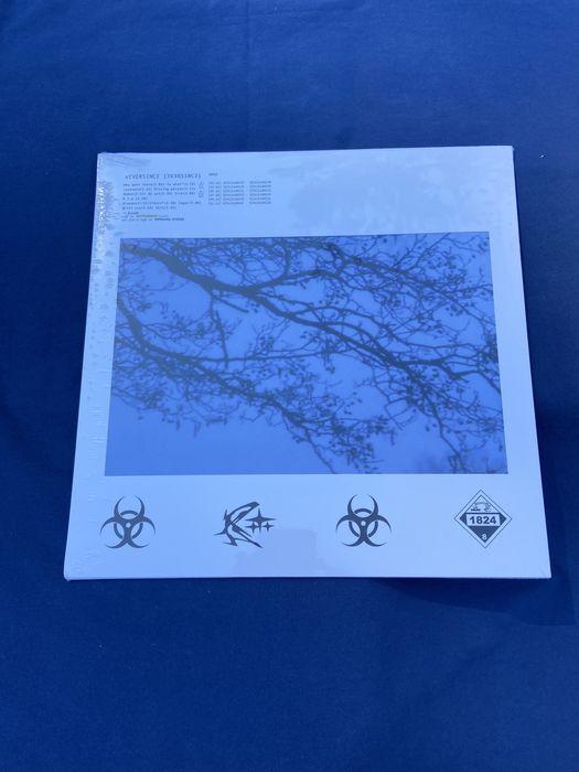 Sad Boys Bladee Vinyl Eversince | Grailed