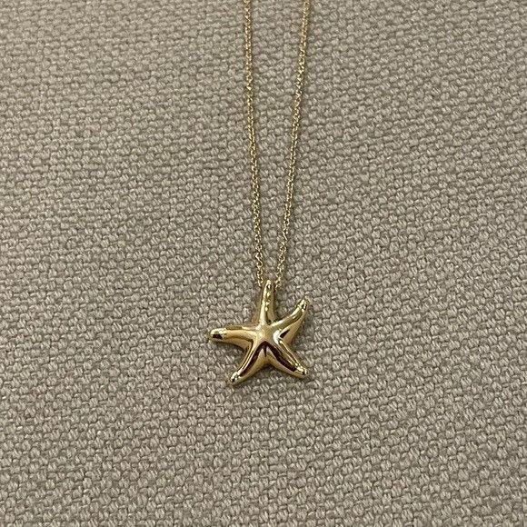 Tiffany & Co. Tiffany & Co. Elsa Peretti Starfish Pendant | Grailed