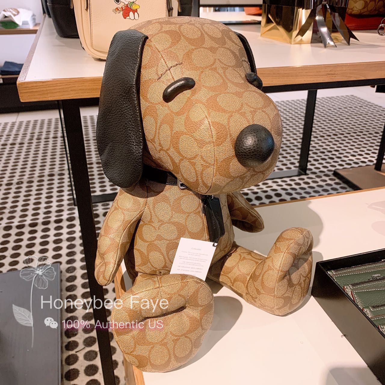 Coach Coach X Peanuts Snoopy Collectible In Signature Canvas #5405 ...