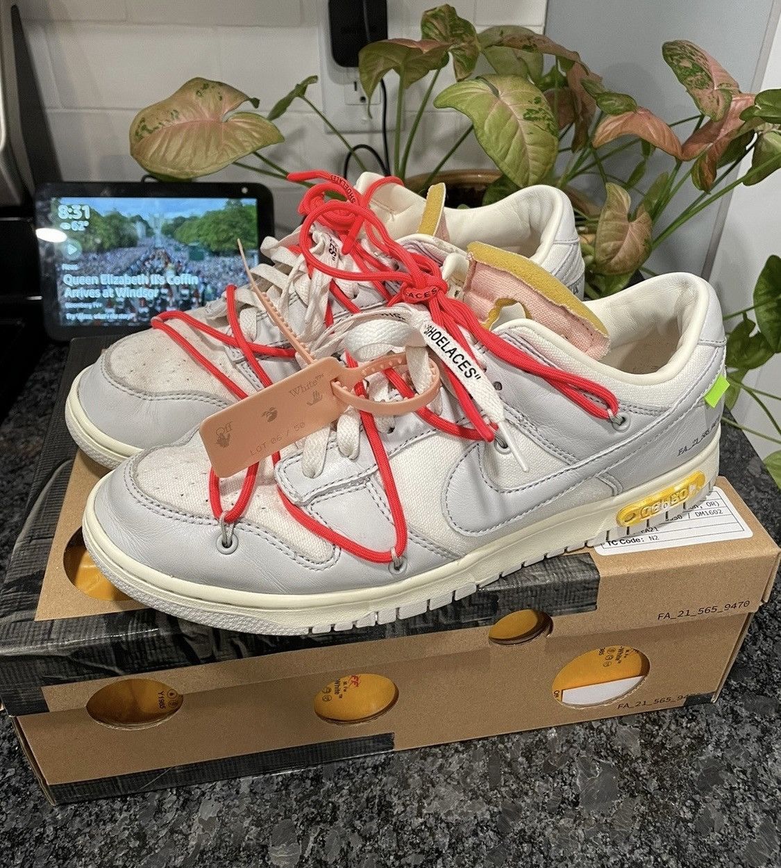 Nike × Off-White Nike Dunk Low x Off White Lot 6 | Grailed
