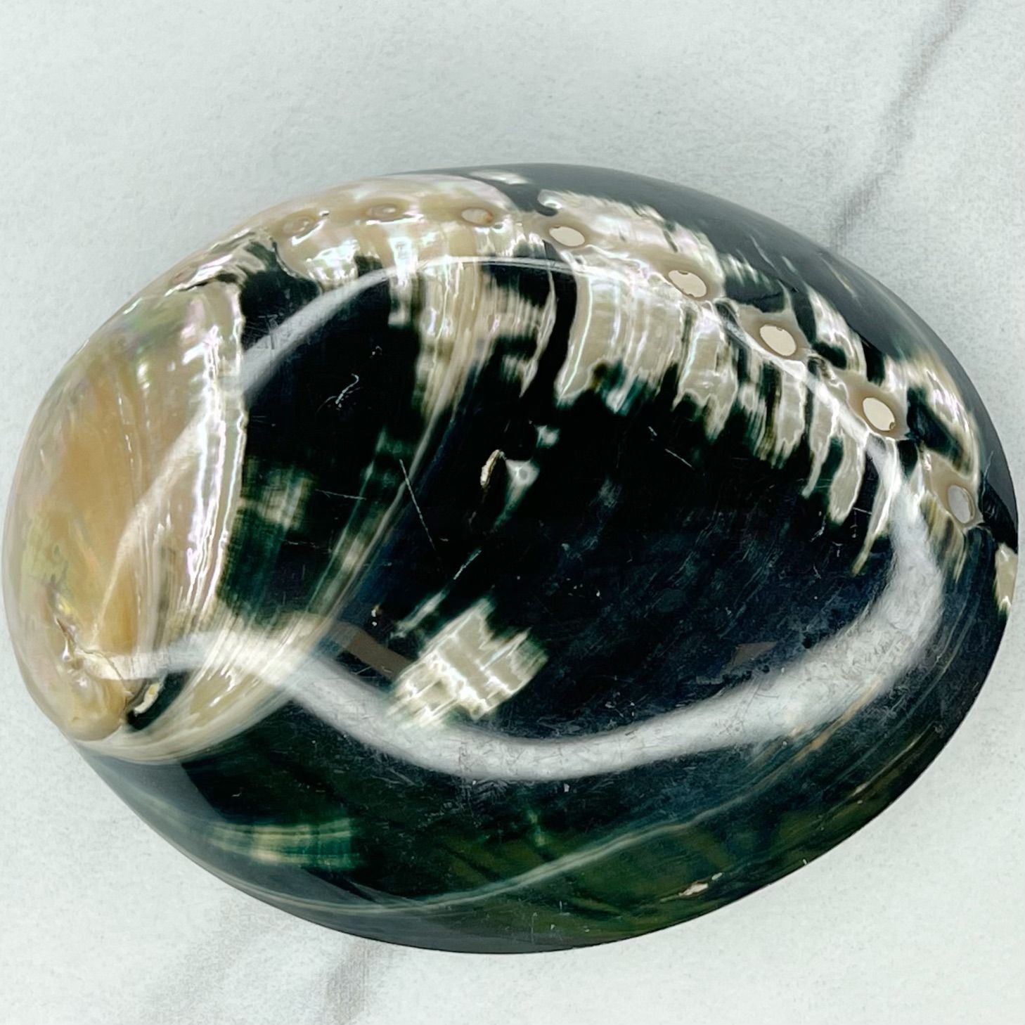 Vintage Vintage Seashell Clam Shell Cinch Belt Buckle | Grailed