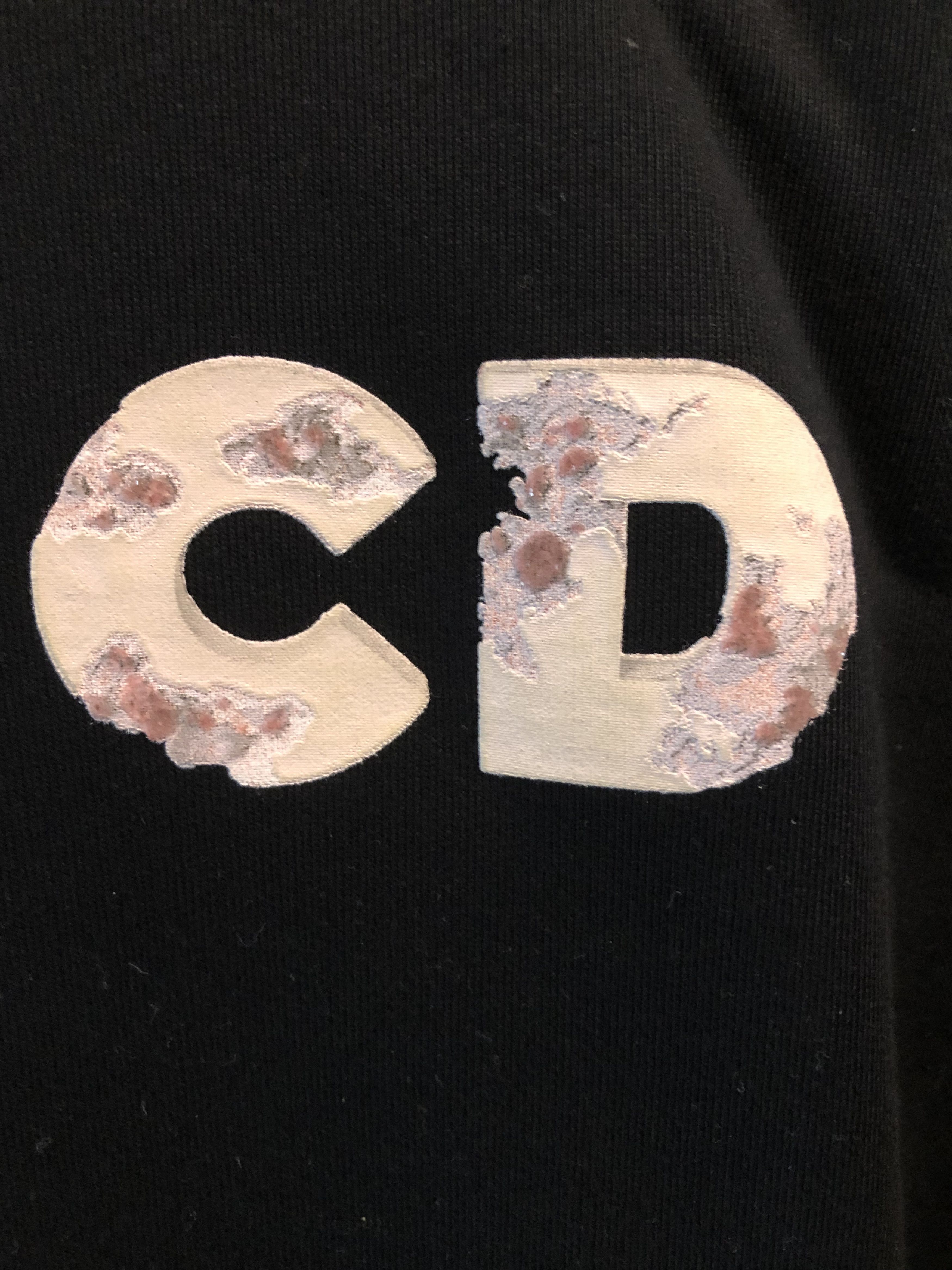 Daniel Arsham × Dior Dior x Daniel Arsham Eroded Basketball Logo CD ...