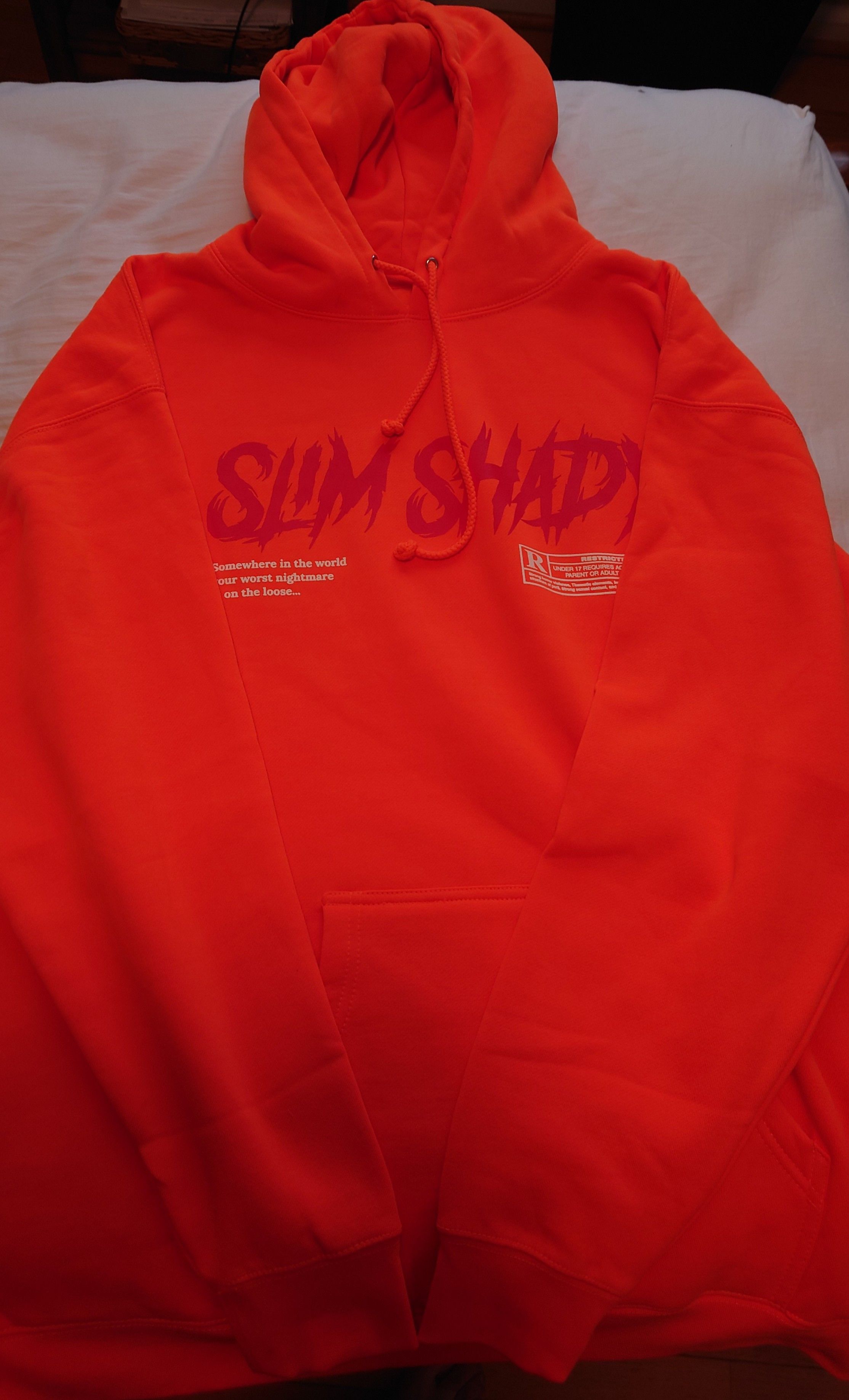 Eminem LIMITED EDITION SHADY RATED R HOODIE | Grailed