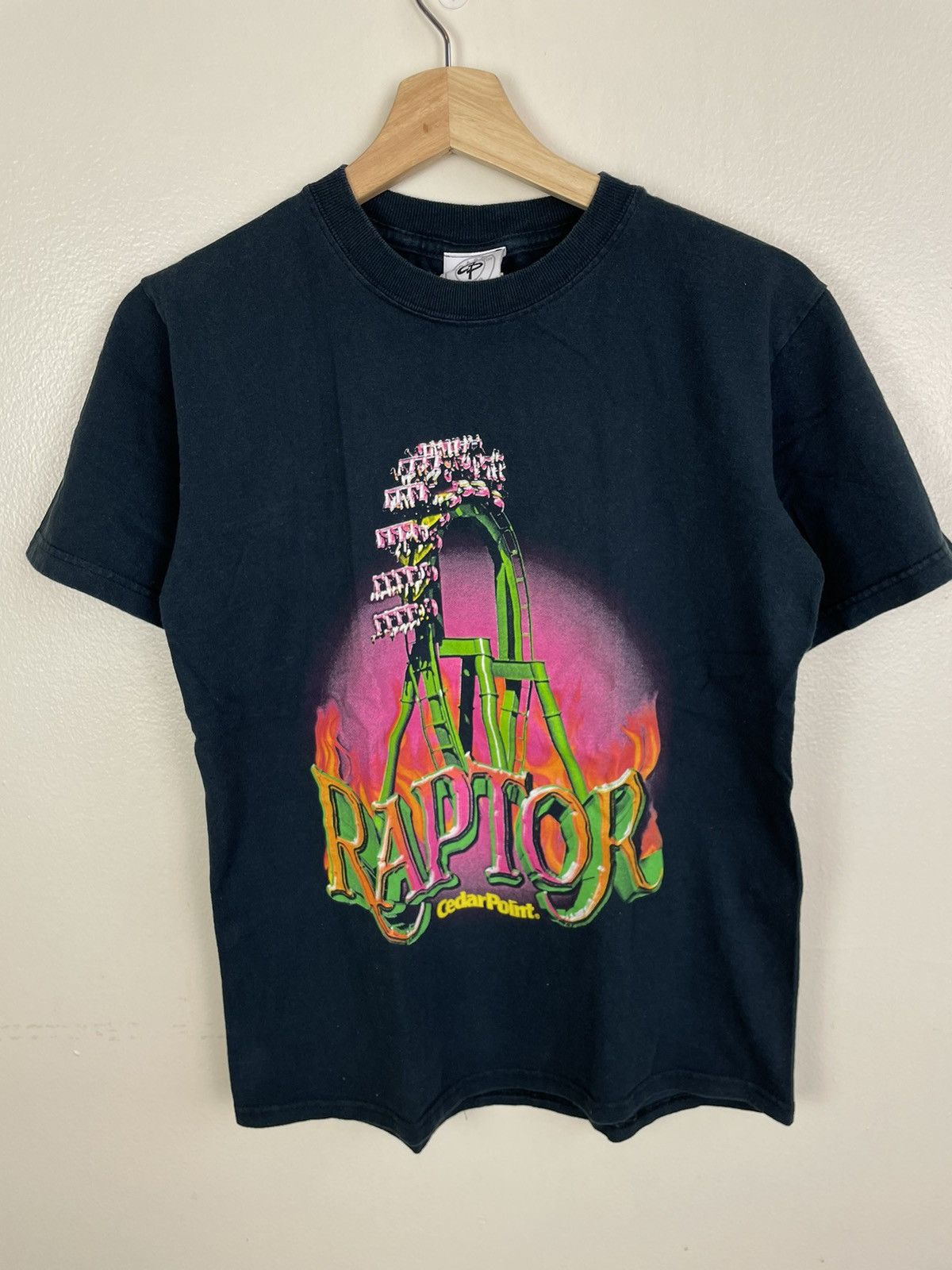 Art × Vintage Vintage Cedar Point Raptor Amusement Park Roller Coaster ...