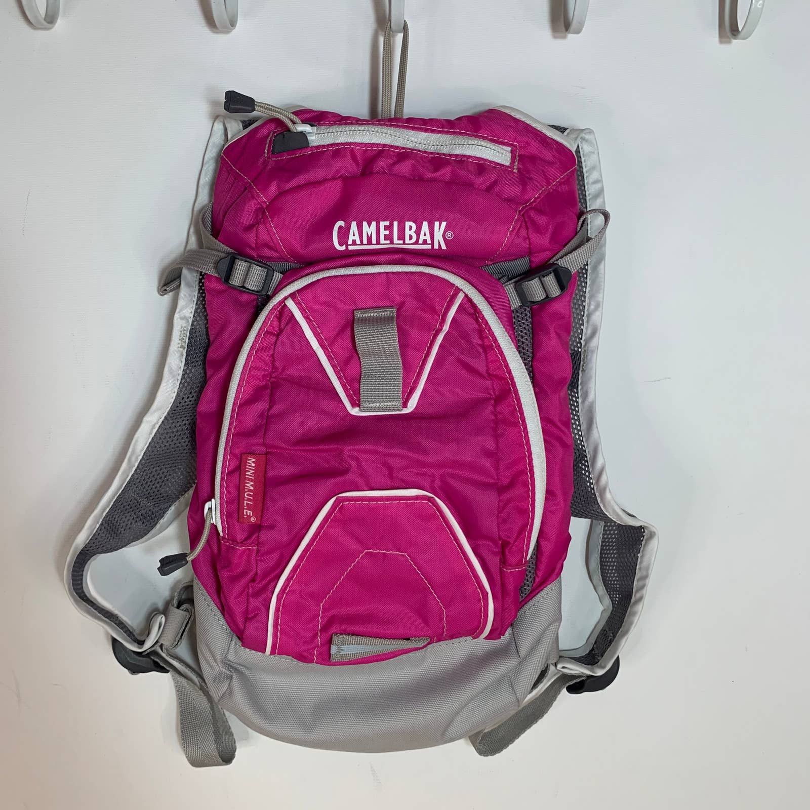 Other Pink Camelback Mini Mule Hydration/Backpack | Grailed
