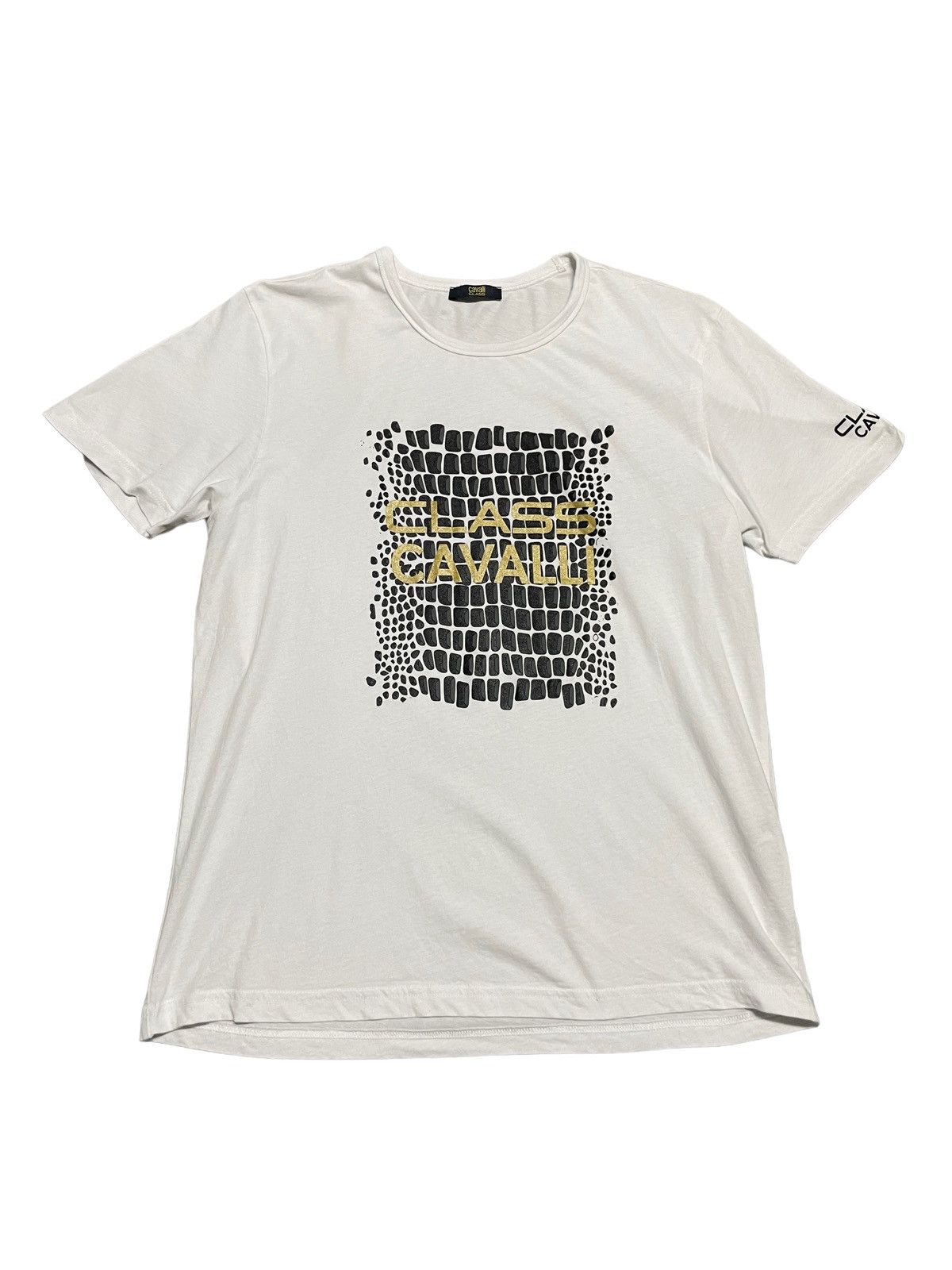 Roberto Cavalli Roberto Cavalli class t-shirt | Grailed
