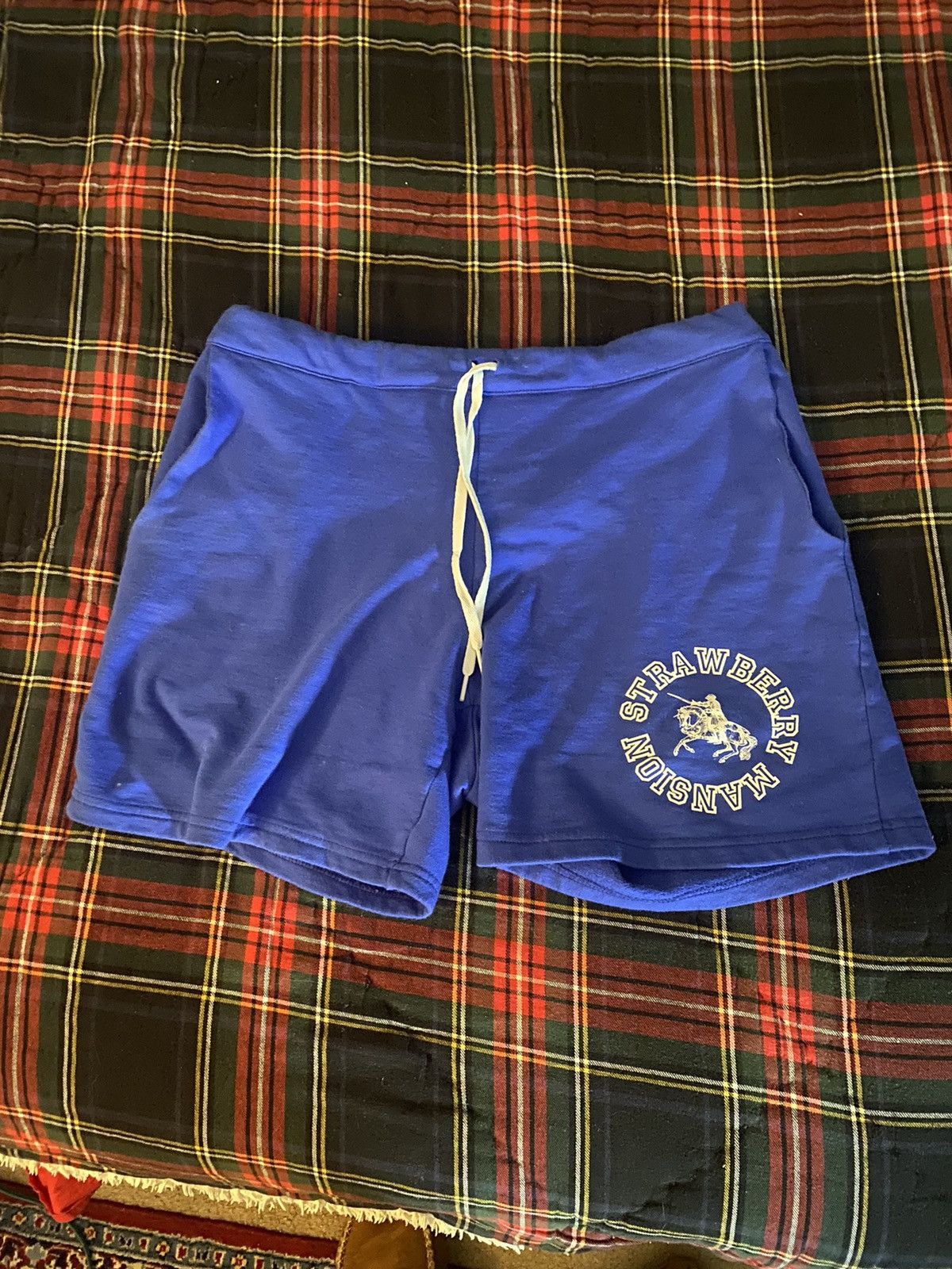 Unwanted Unwanted Strawberry Mansion Shorts Blue | Grailed