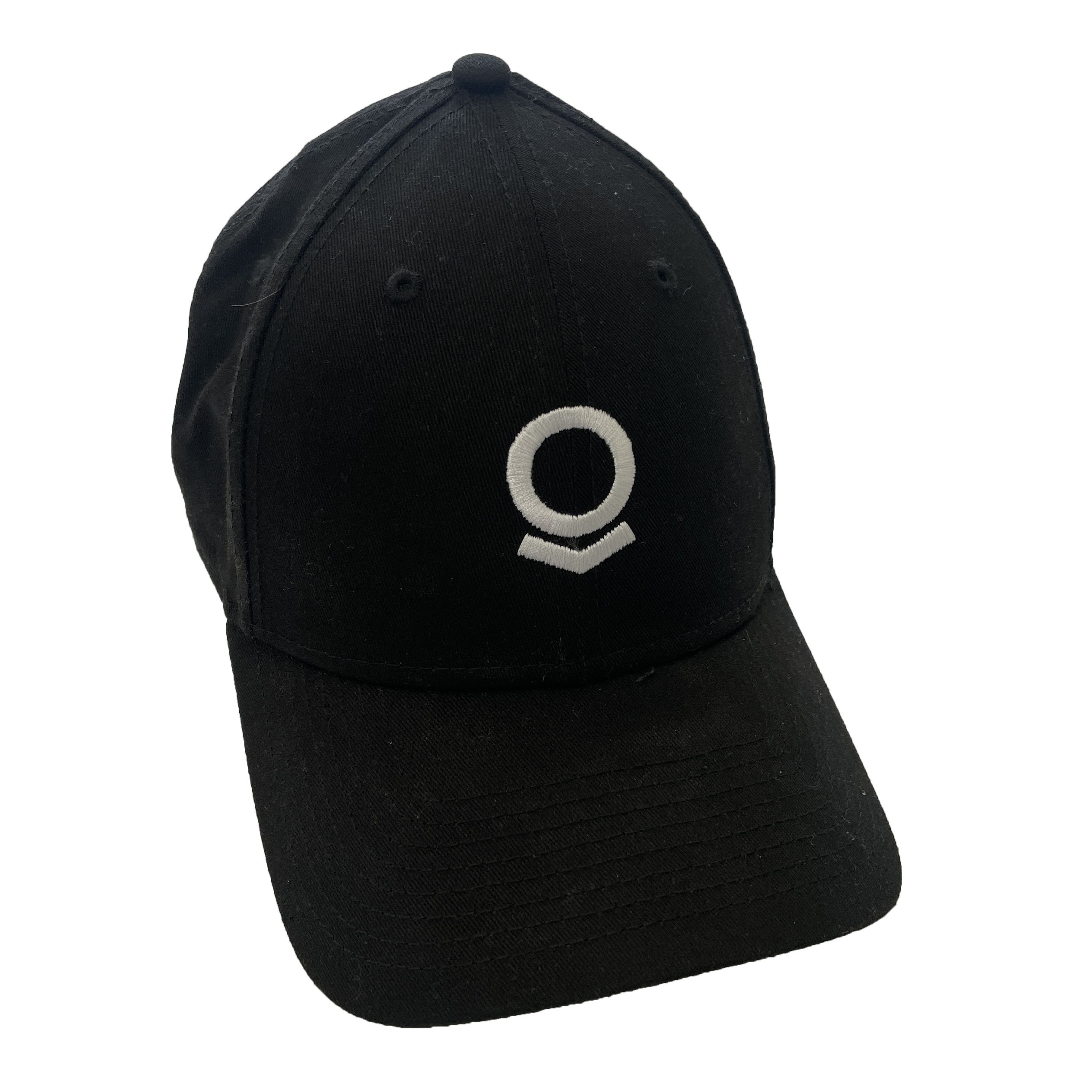 Vintage Official Palantir Baseball Cap | Grailed
