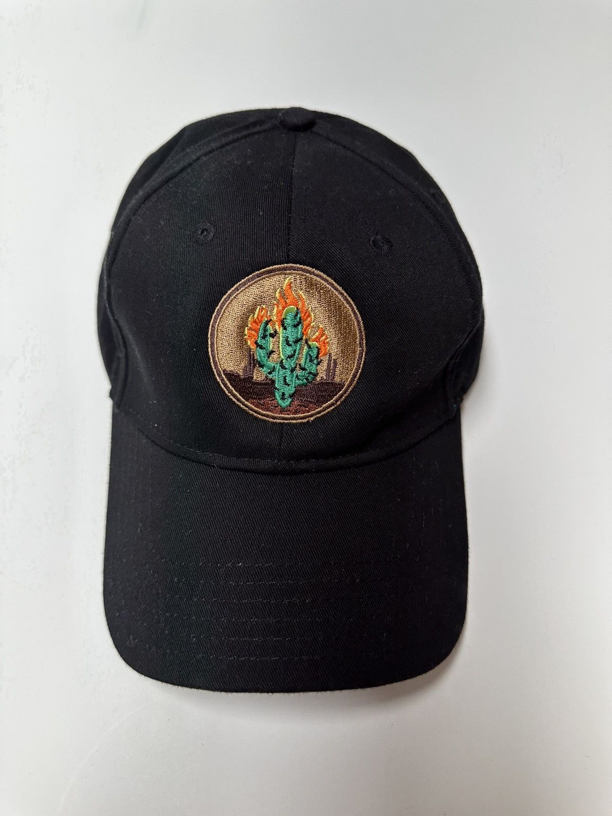 Travis Scott Rodeo Cactus Hat | Grailed