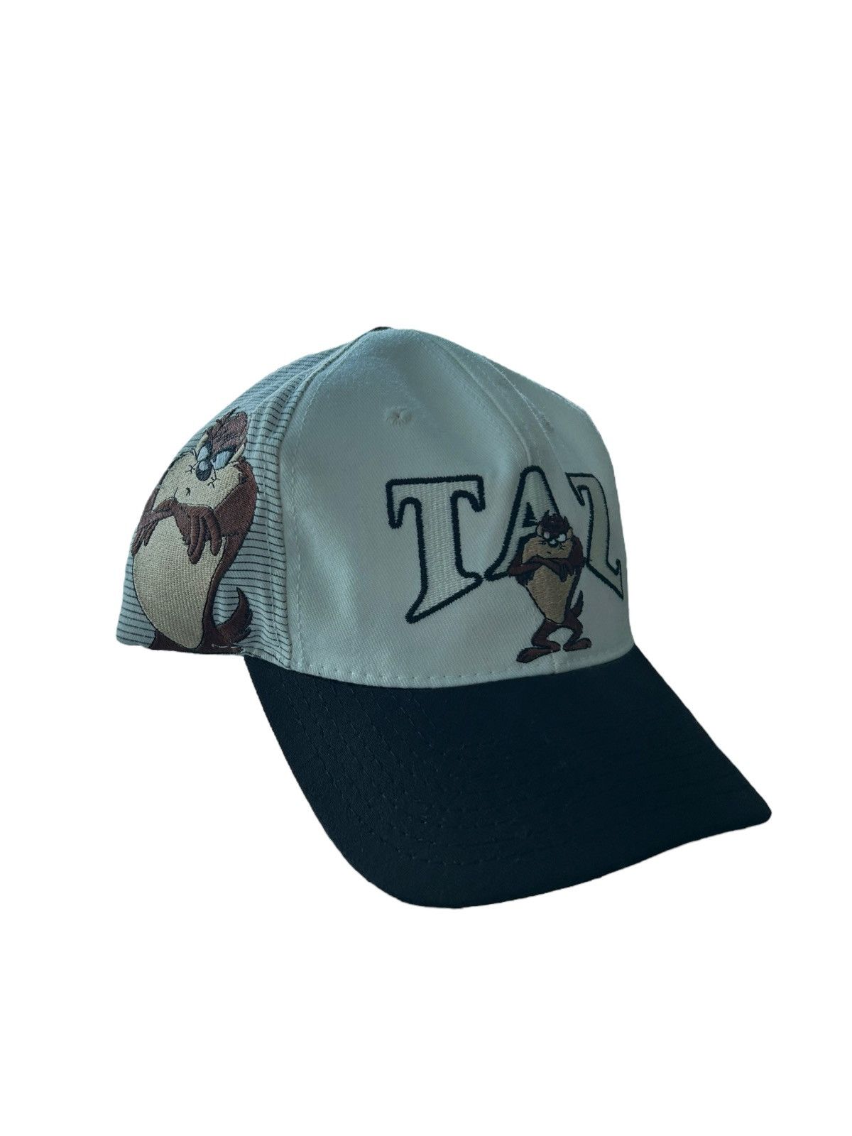 Vintage VTG 1991 Taz Snapback Hat | Grailed