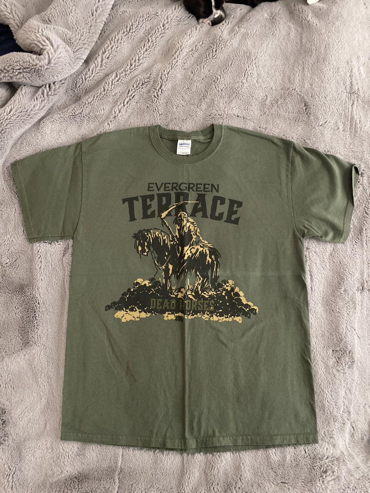 Band Tees × Vintage Evergreen Terrace hardcore punk | Grailed