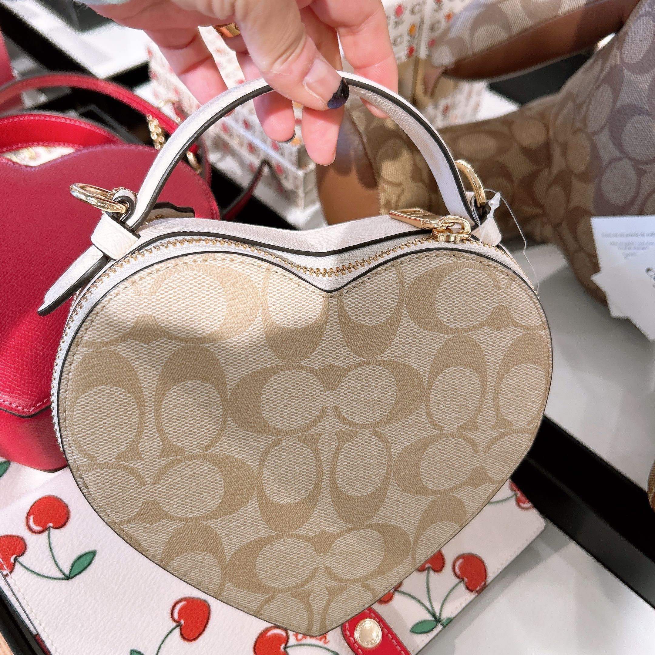 Coach Heart Crossbody In Signature Canvas | Grailed