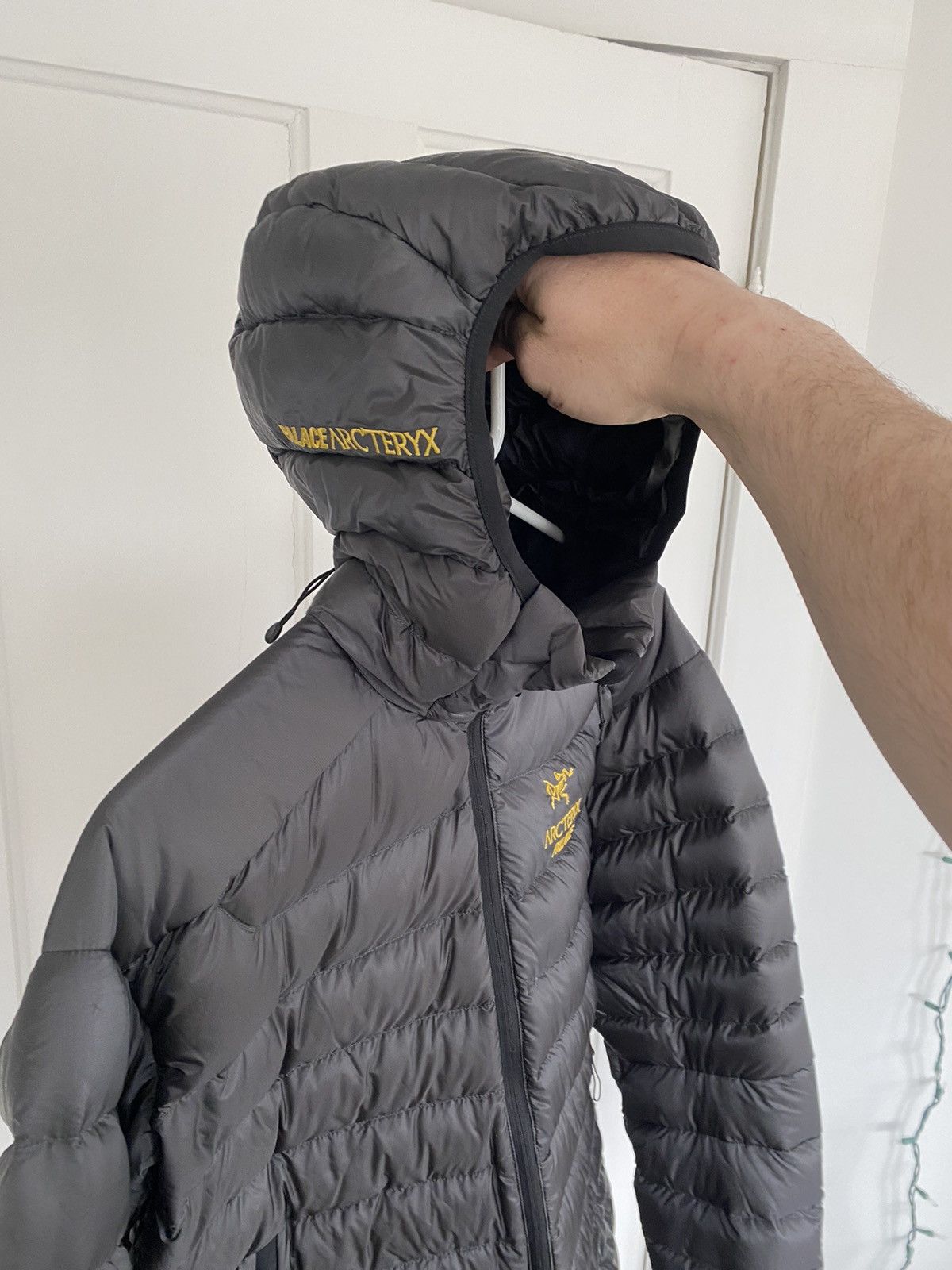Arc'Teryx × Palace Arcteryx x palace cerium LT hoody | Grailed Arc'Teryx × Palace Arcteryx x palace cerium LT hoody | Grailed