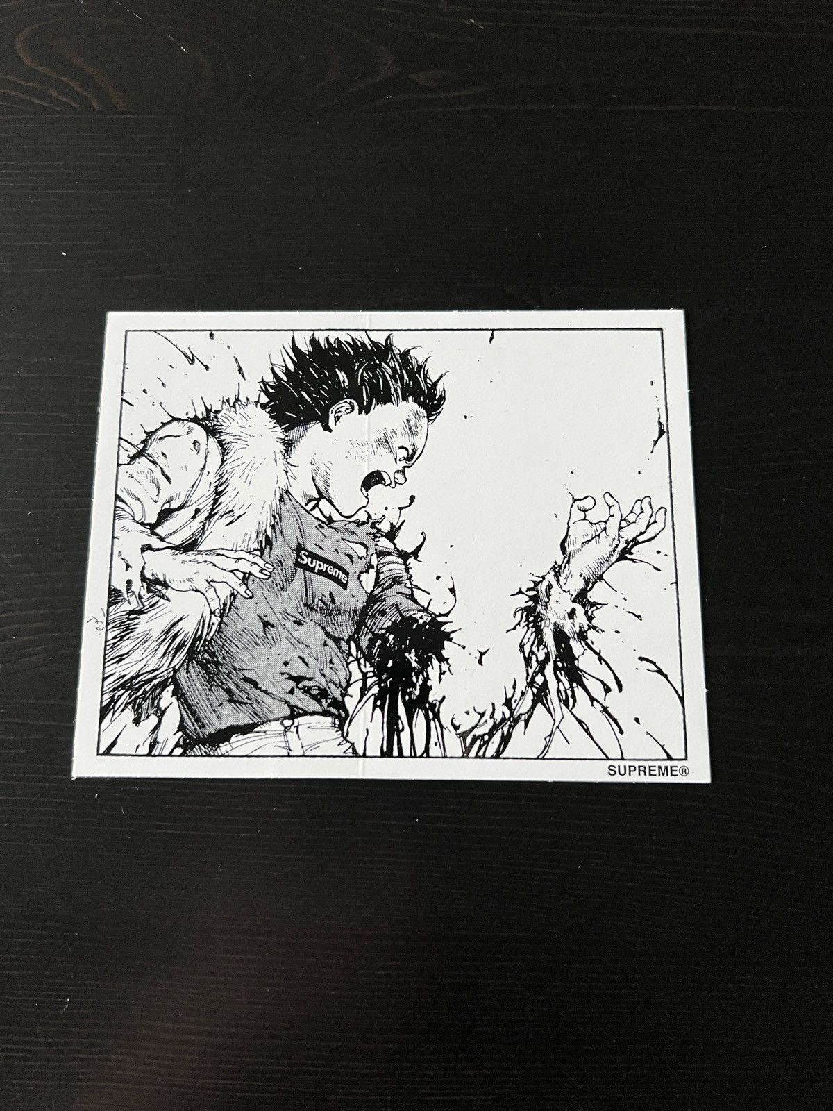 Supreme Supreme Akira Arm Sticker FW17 | Grailed