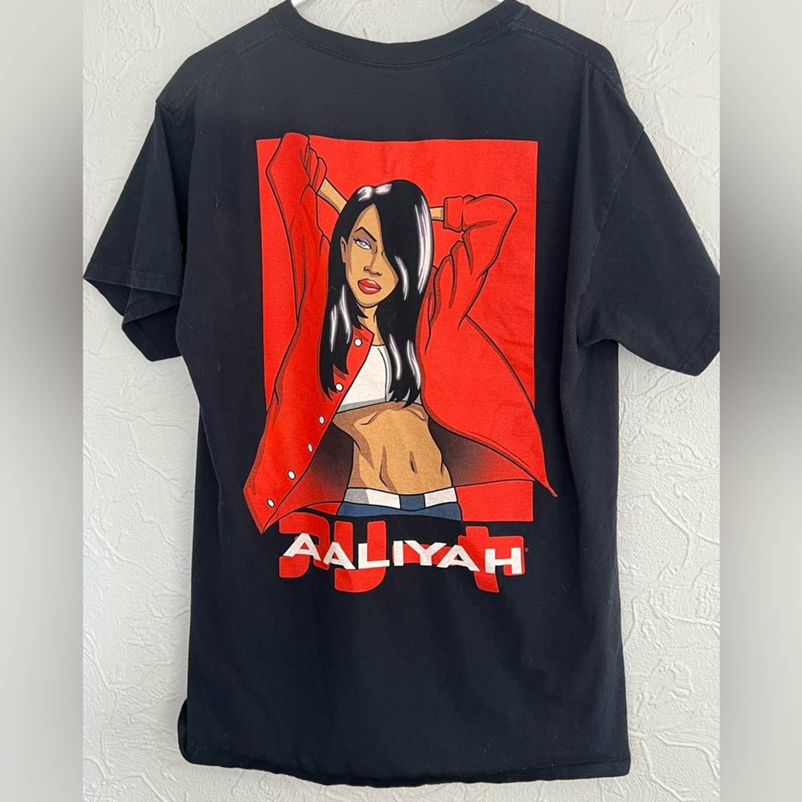 Ripple Junction OFFICIAL Aaliyah Shirt 90s Hip Hop Ripple Junction SZ ...