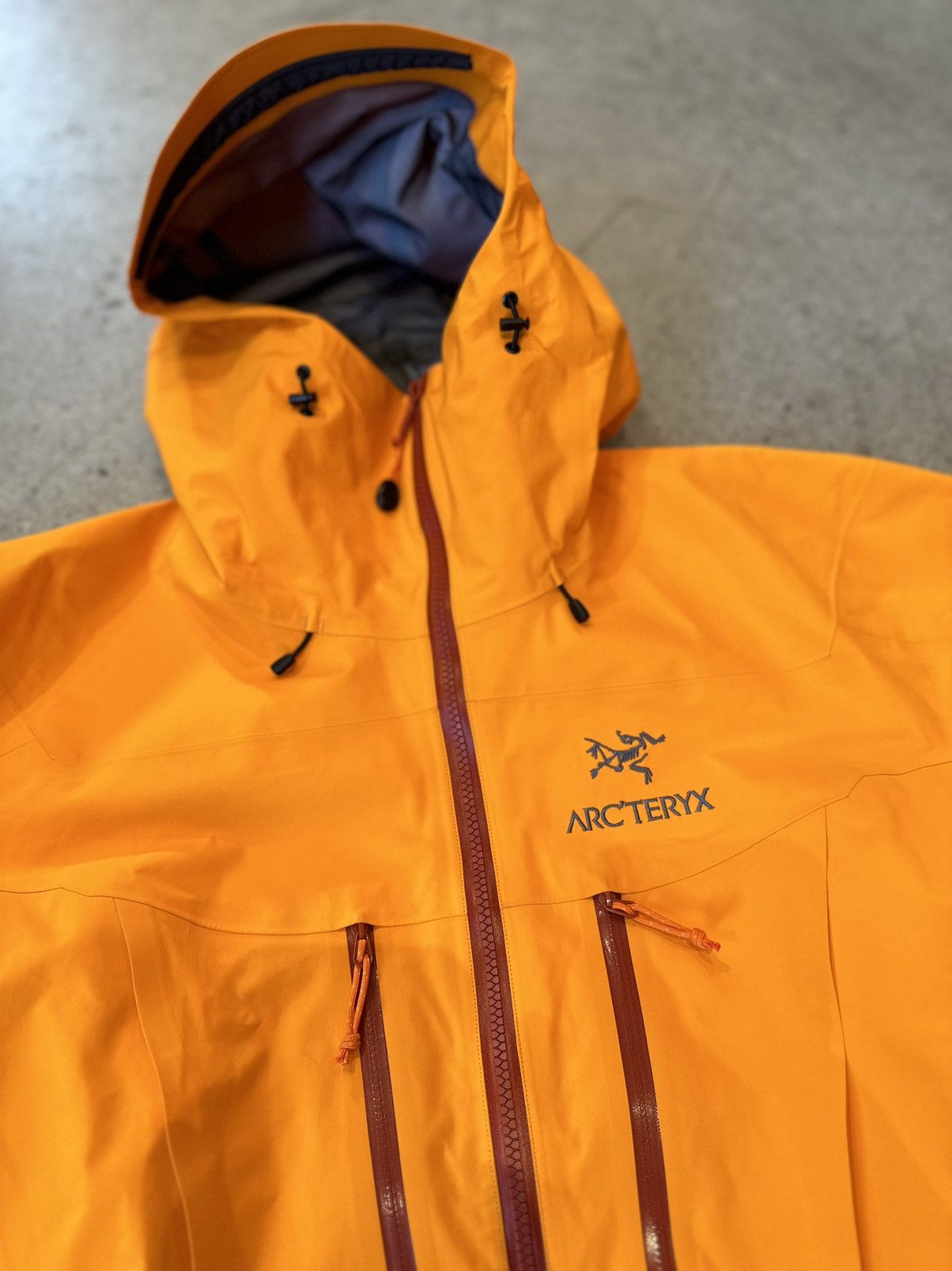 Arc'Teryx Arcteryx Alpha SV Gore Tex Pro Jacket | Grailed