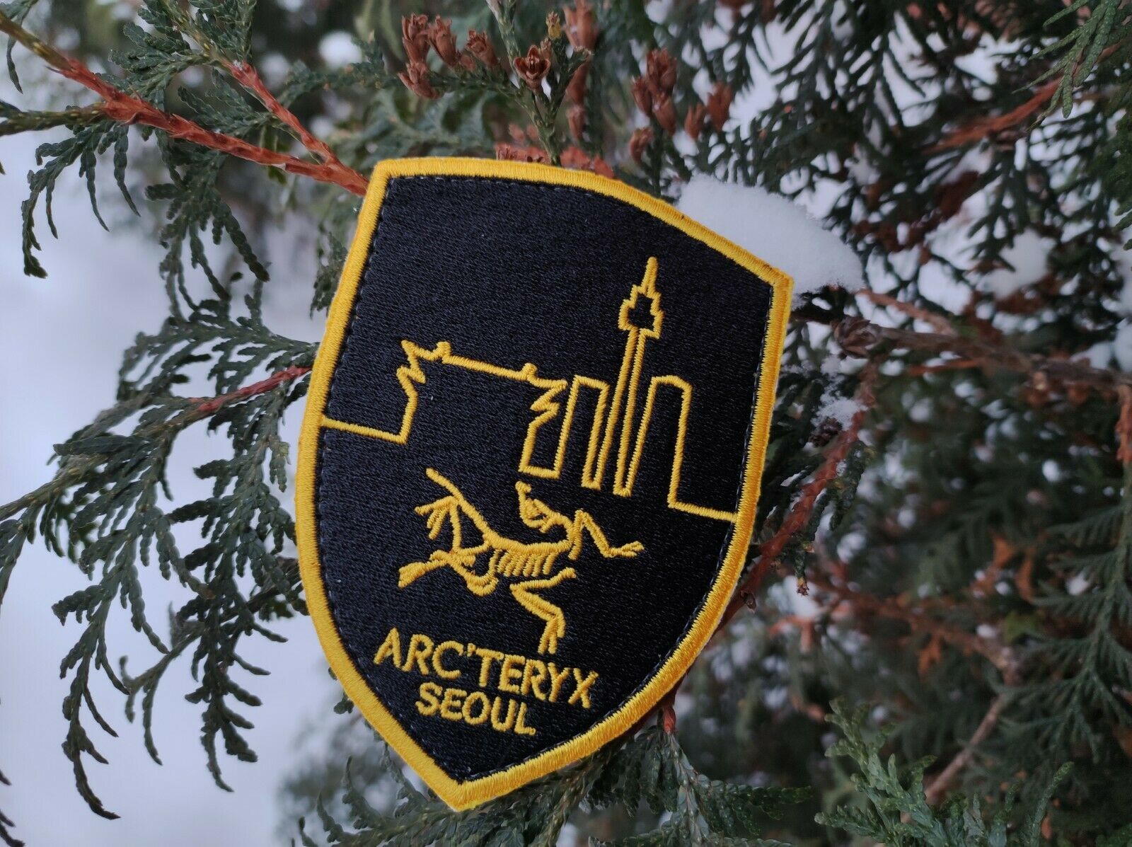 Arc'Teryx Arc'teryx LEAF Seoul Korea Patch Shield Devgru Crye Aor1 RAR ...