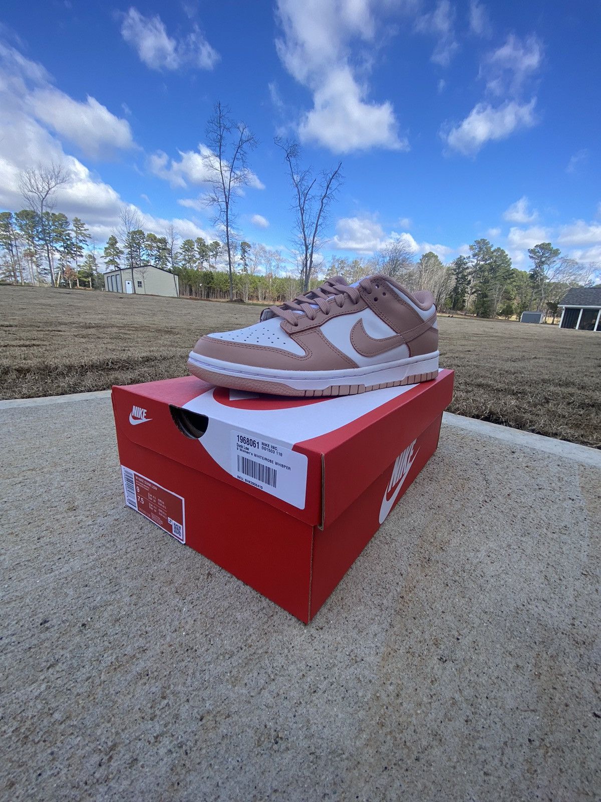 Nike NIKE DUNK LOW ROSE WHISPER | Grailed