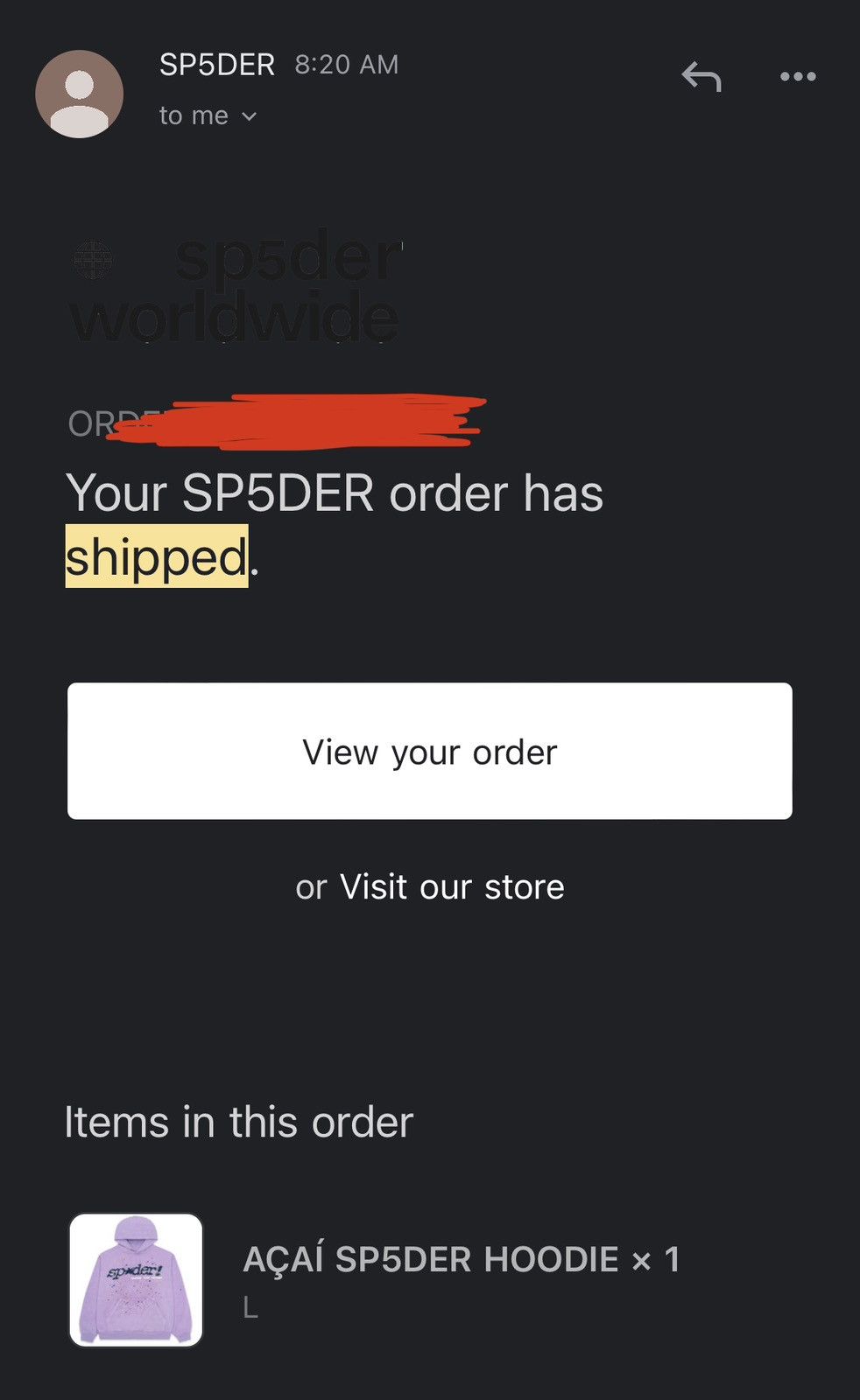 Spider Worldwide AÇAÍ SP5DER HOODIE | Grailed