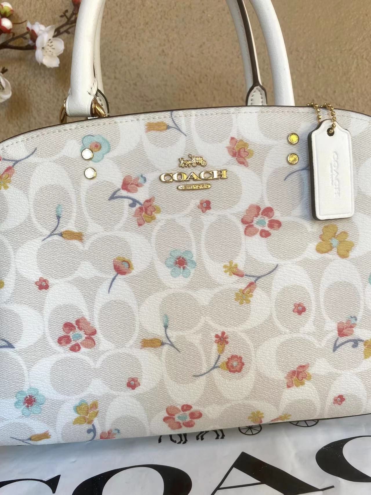 Coach Coach MINI LILLIE CARRYALL WITH MYSTICAL FLORAL PRINT | Grailed