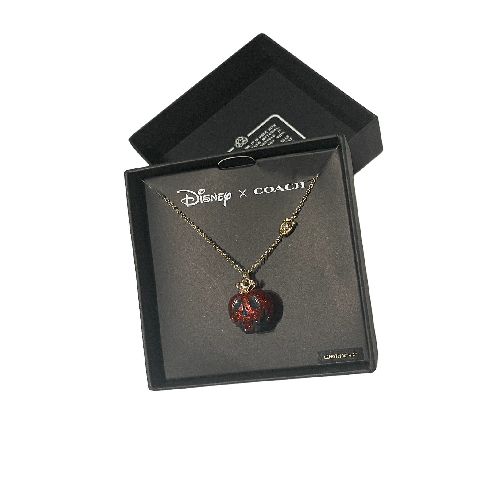 Coach Disney X Coach Poison Apple Necklace New with box | Grailed