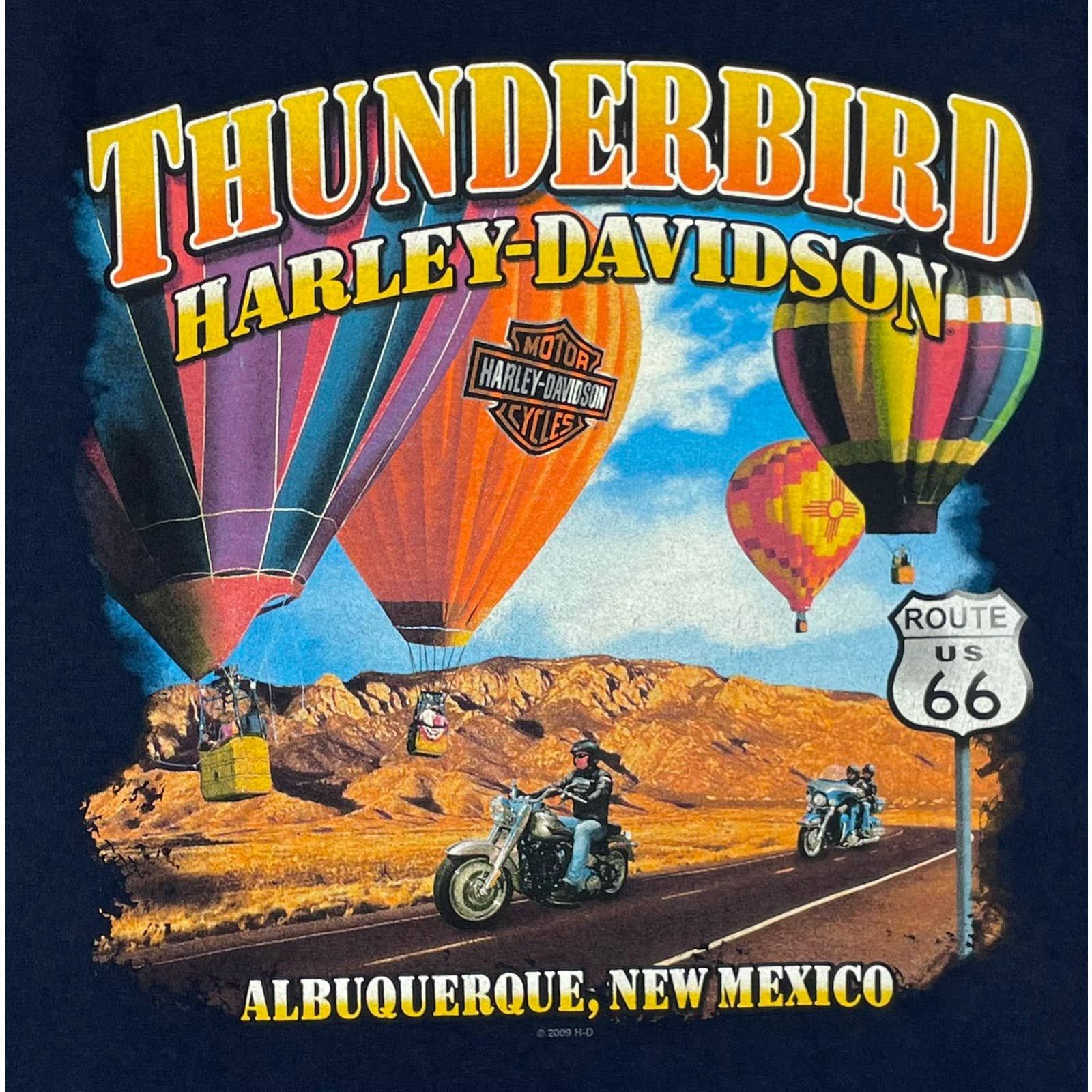 Harley Davidson × Streetwear 🏝️HARLEY DAVIDSON Hot Air Balloon Long ...